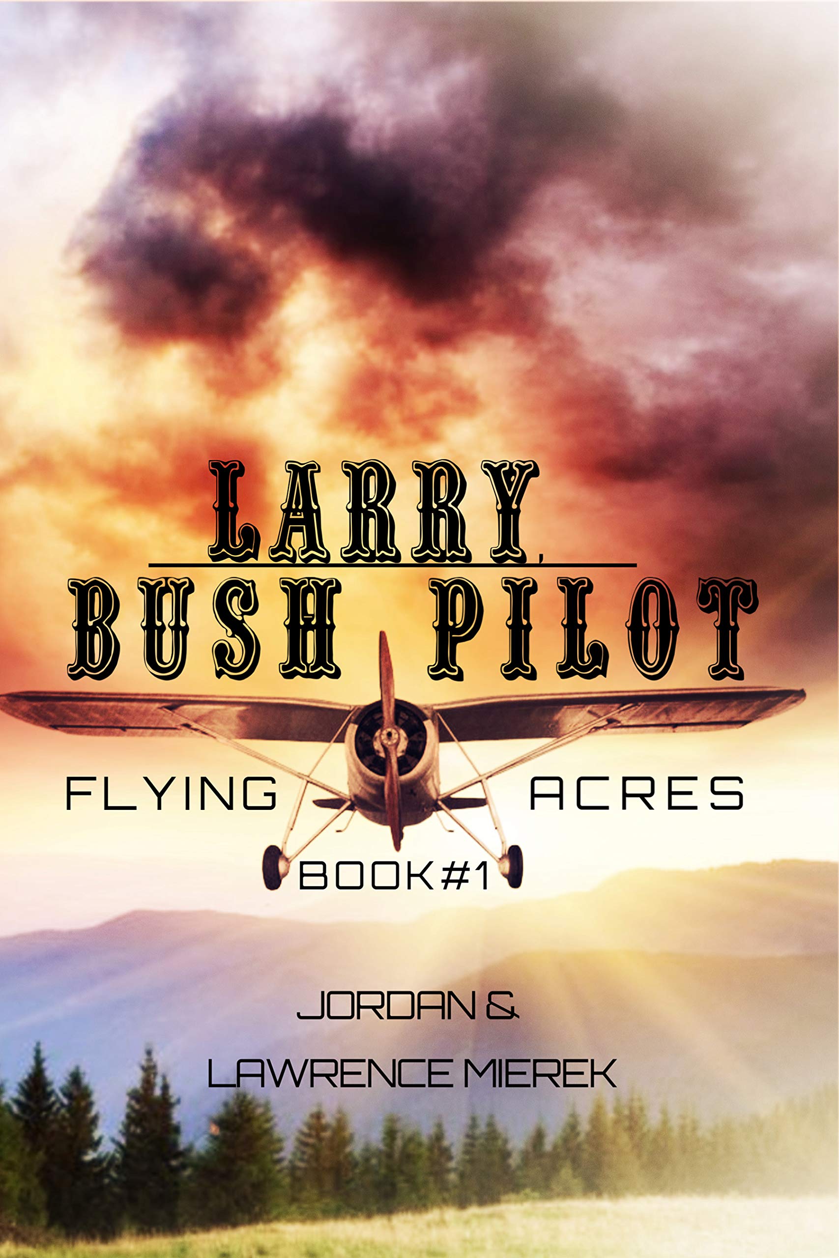 Book review of Larry, Bush Pilot - Readers' Favorite: Book Reviews and ...