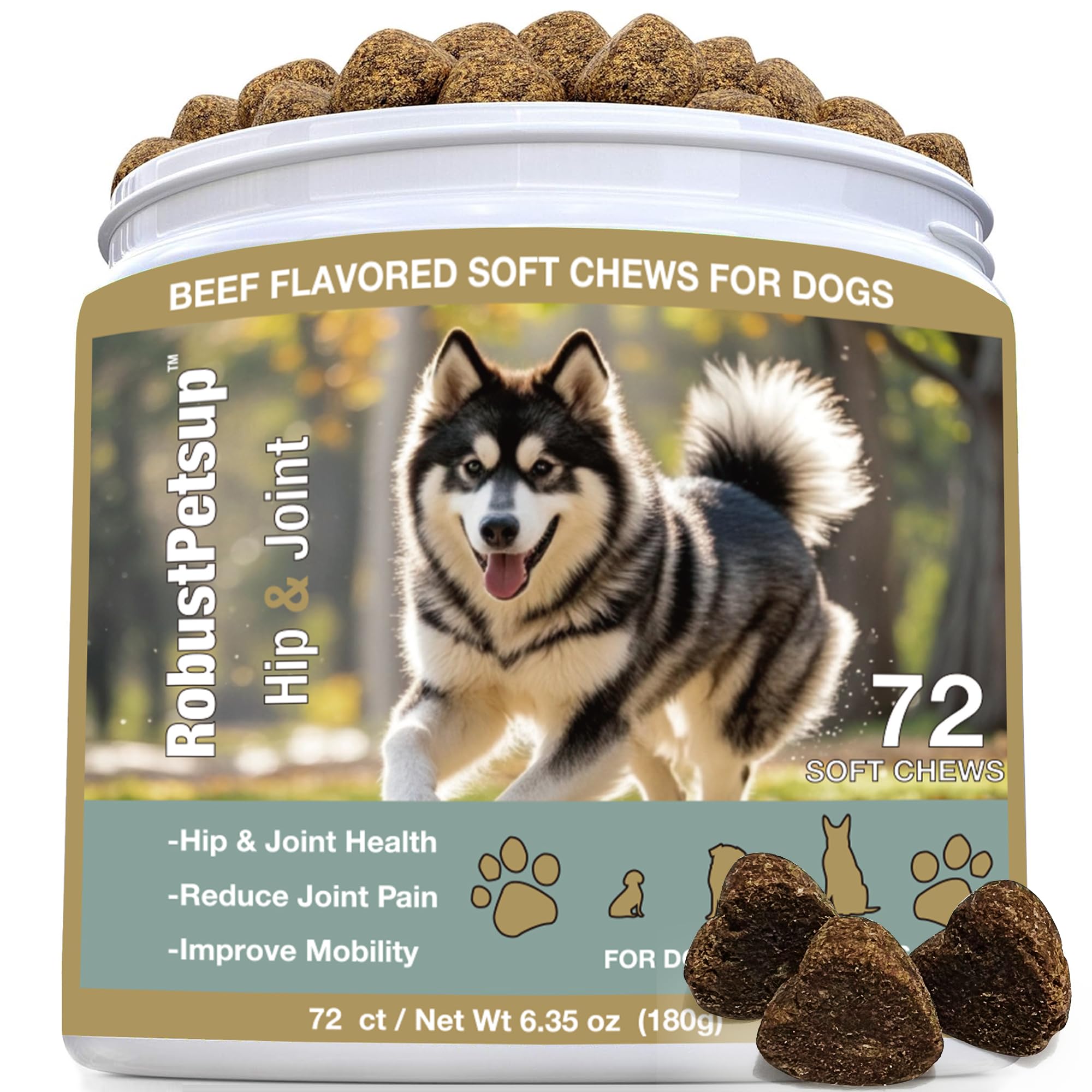 Amazon.com : Robustpetsup Dog Hip & Joint Supplement Pain and ...