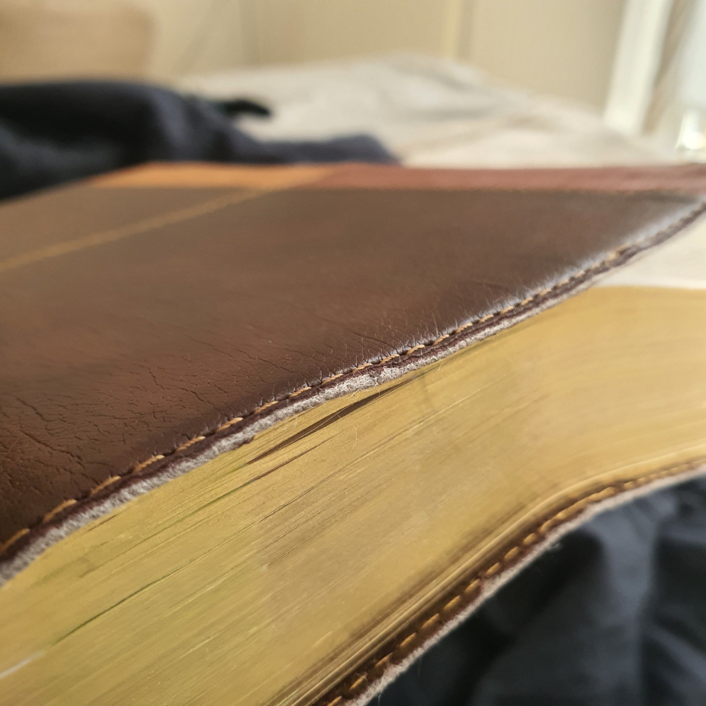 NIV Rainbow Study Bible, Maroon LeatherTouch: New International Version ...