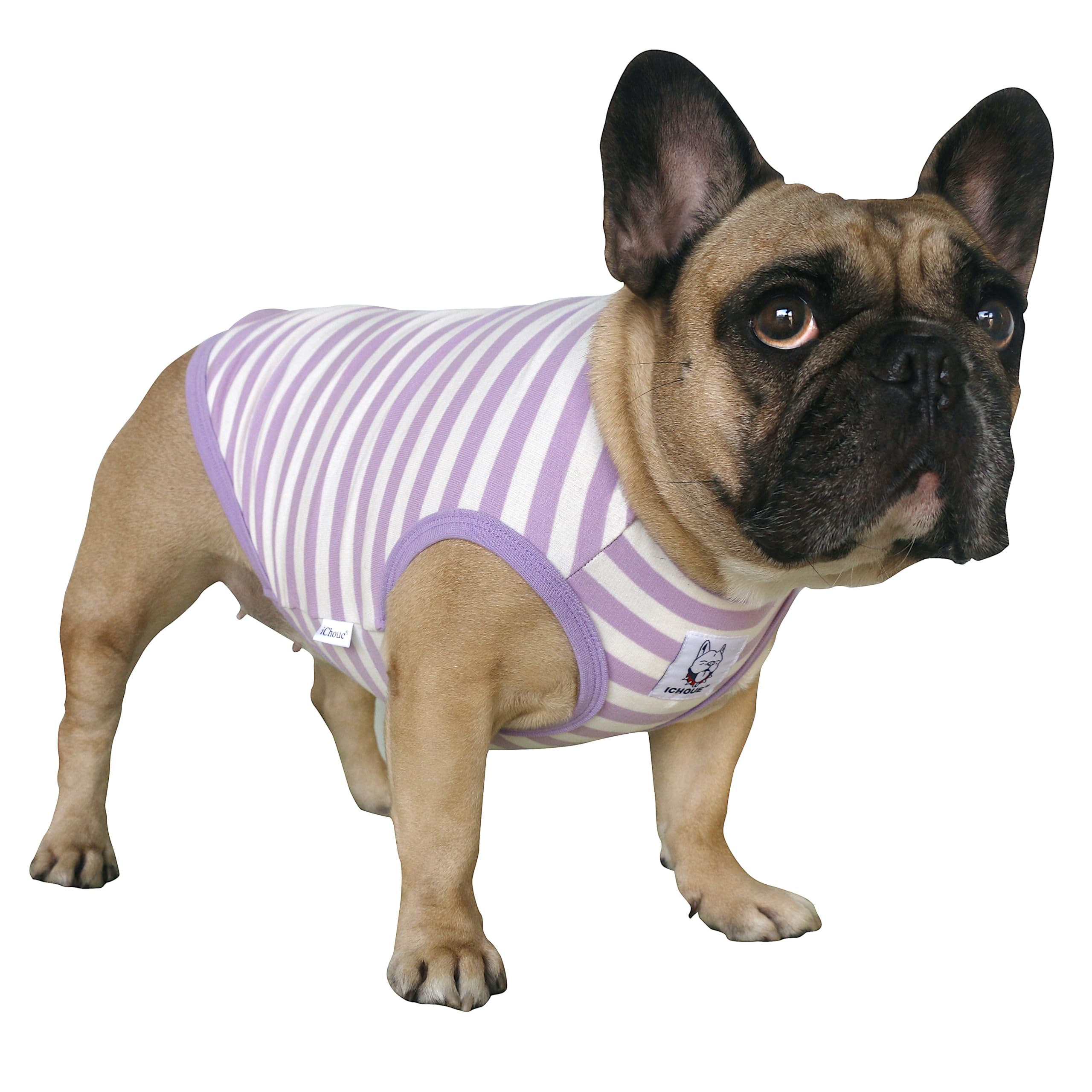 Amazon.com : iChoue French Bulldog 100% Breathable Cotton Striped T ...