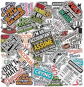 Amazon.com: 20pcs Accounting Stickers, Funny Gifts for Accountants ...