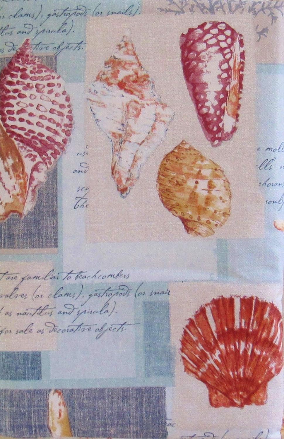 Amazon.com: Summer Fun by Elrene Seashells, Starfish and Coral ...