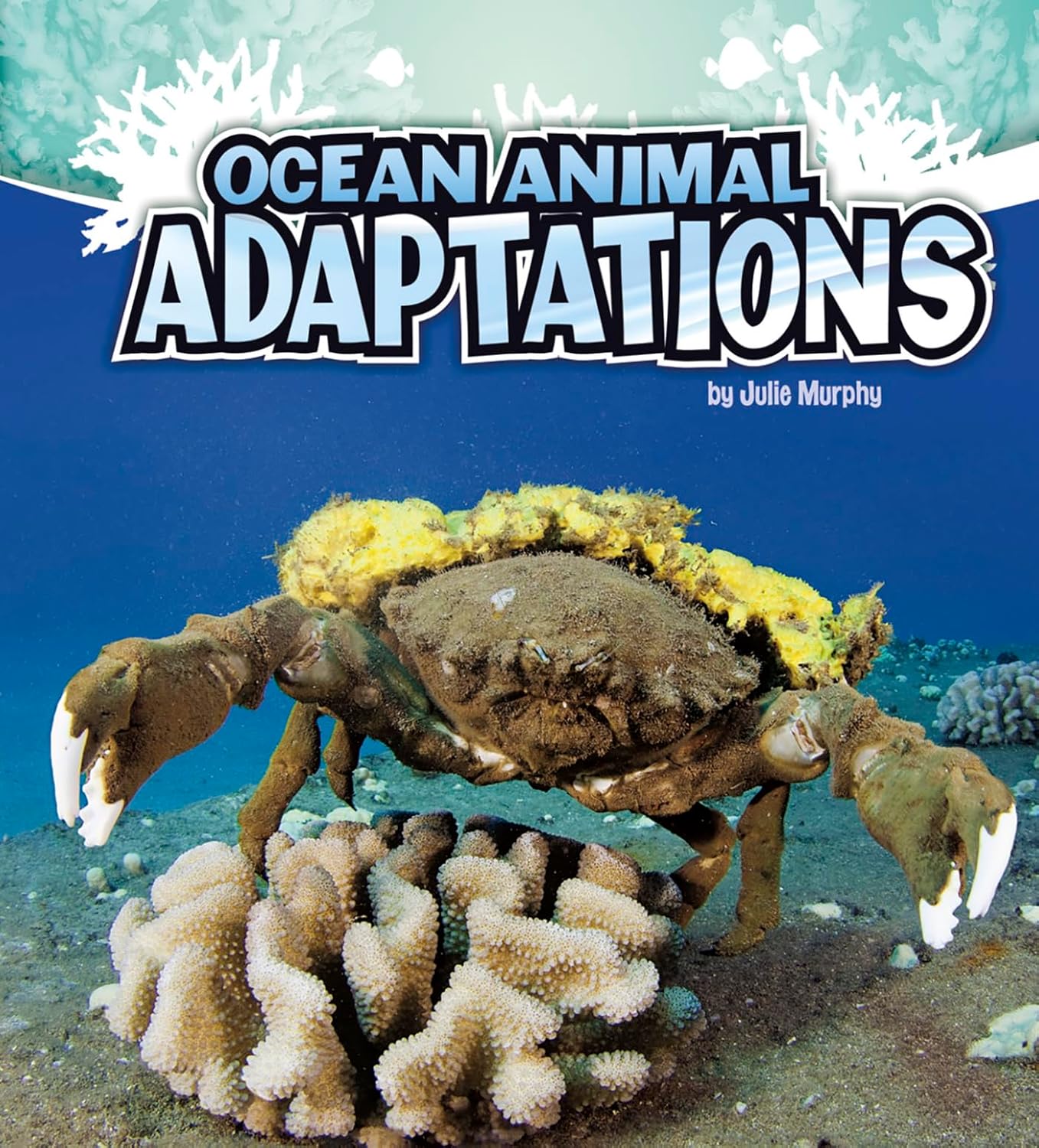 Ocean Animal Adaptations (A+ Books: Amazing Animal Adaptations): Julie ...