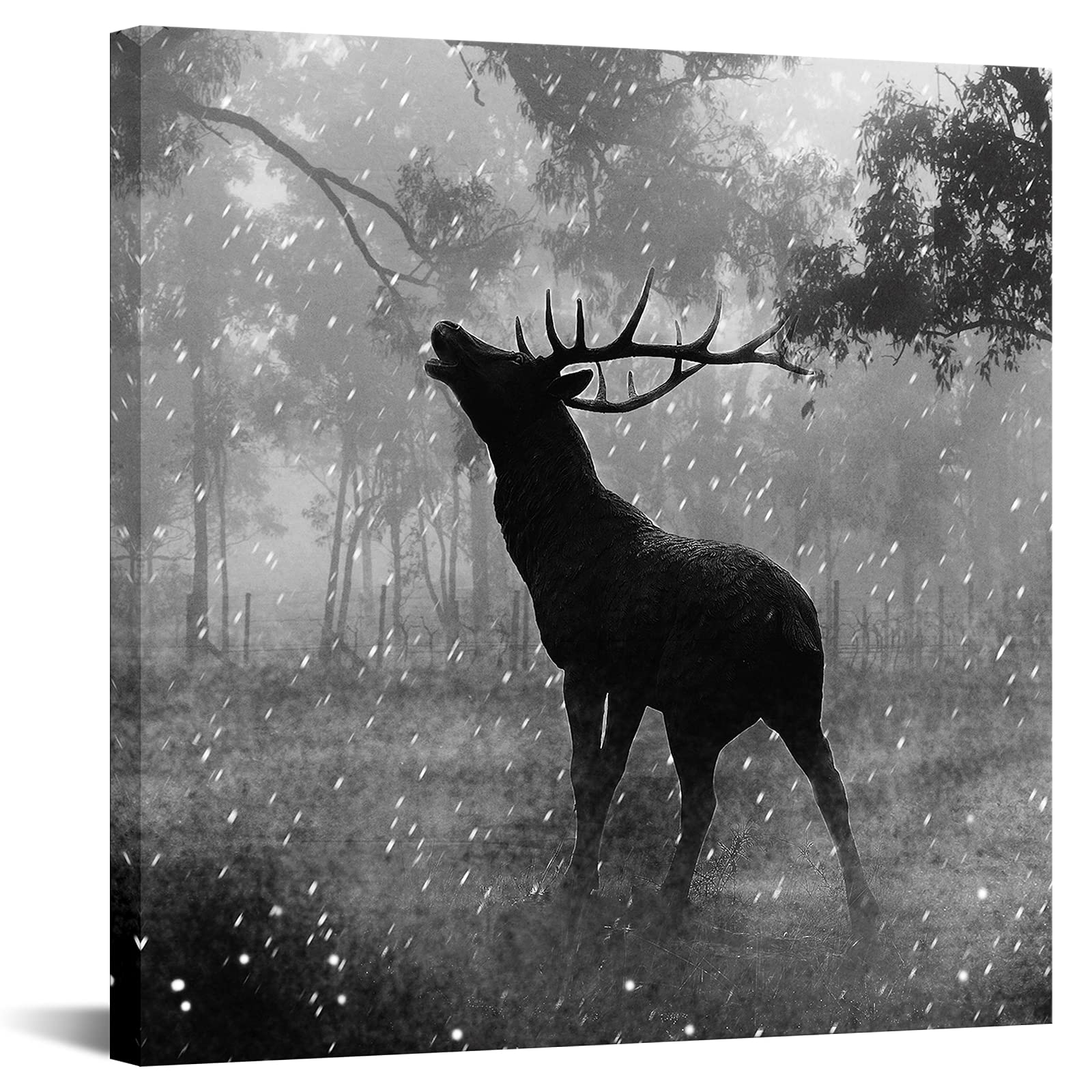 Alce Blanco Y Negro Dibujo De Alce, Pintura De Alce, Suecia,
