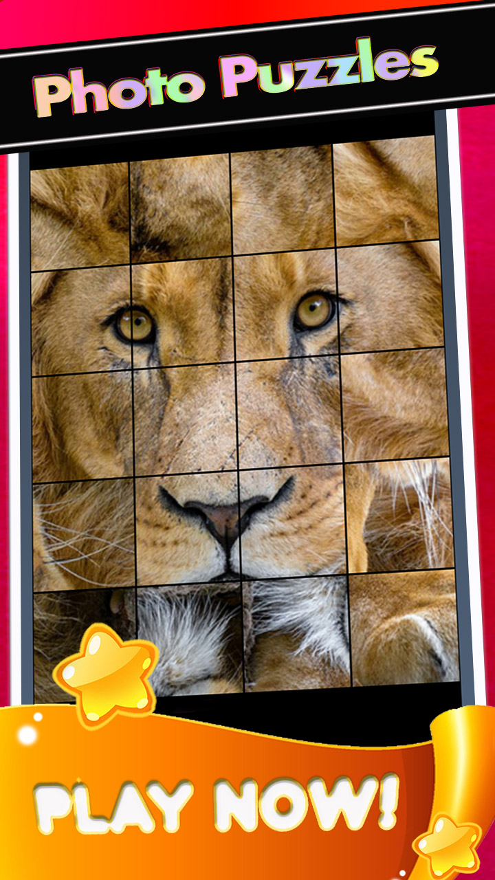 Lion Pictures-Lioness animals Puzzle Game - App on Amazon Appstore