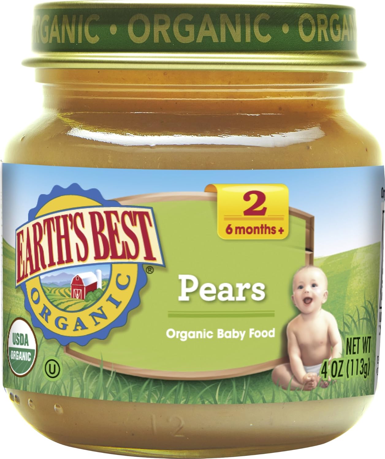 Amazon.com: Earth's Best Organic Baby Food Jars, Stage 2 Fruit Puree ...