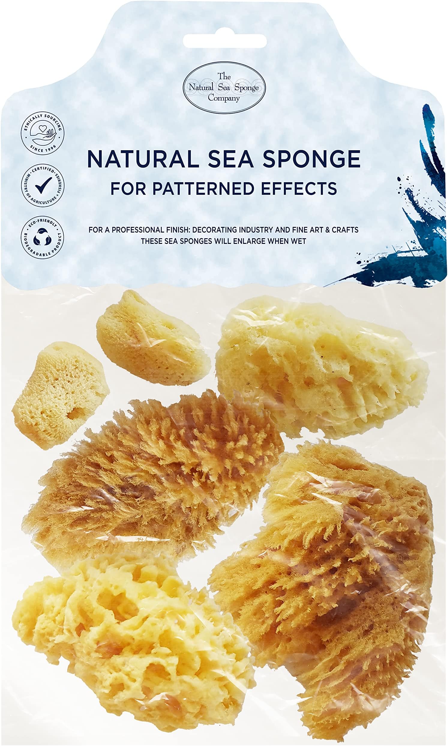 Royal & Langnickel Combi Sea Sponge Set of 4 Neutral Sponges : Amazon ...
