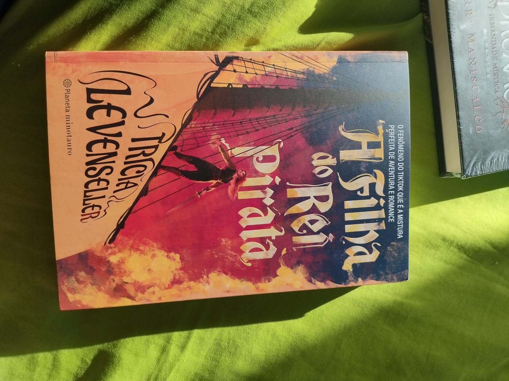 A filha do rei pirata: O fenômeno do TikTok que é uma mistura perfeita de aventura e romance ...