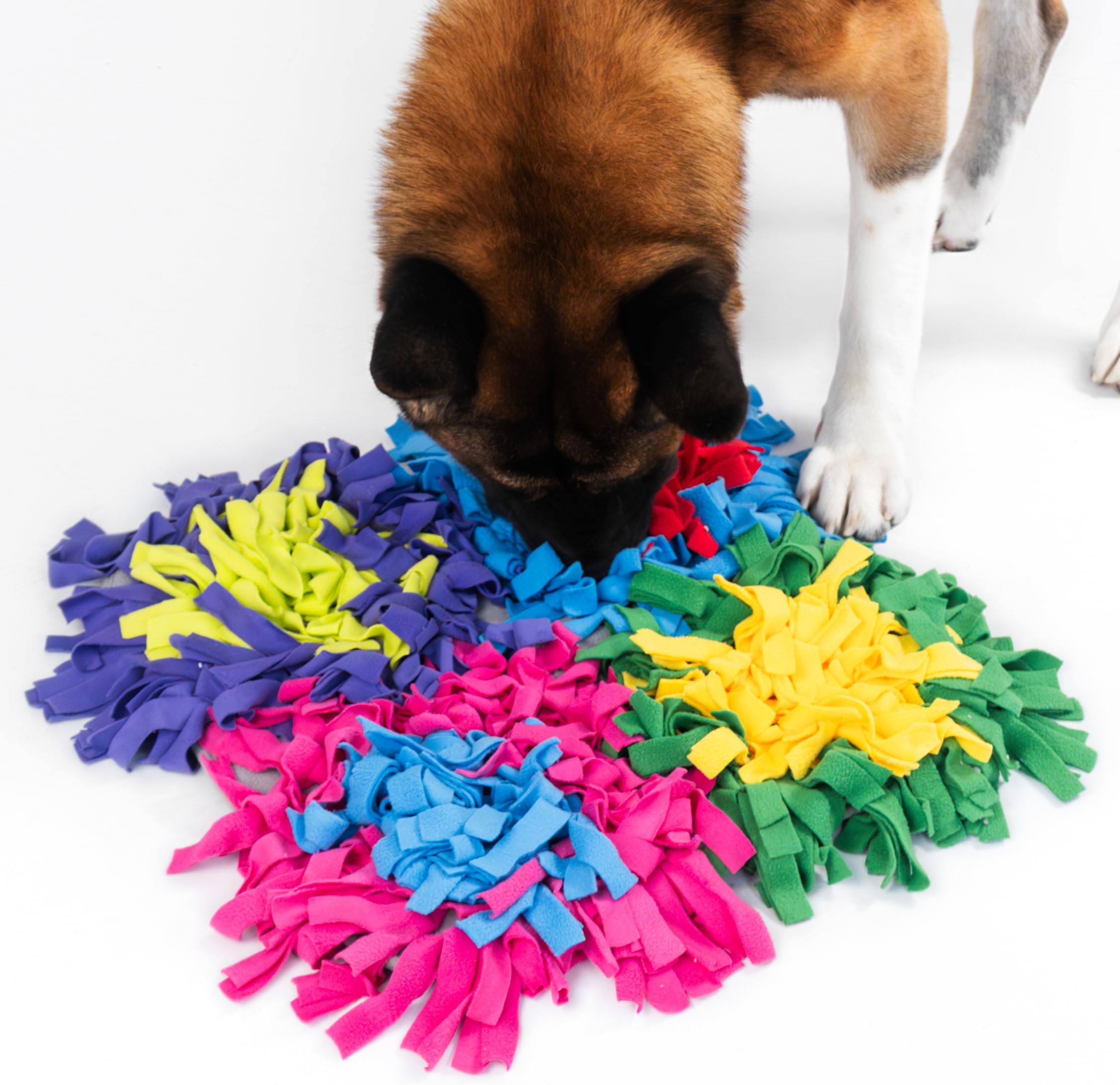 Amazon.com : MHTTEC Snuffle Mats for Dogs 23.62" x 15.75" Small Tulip ...