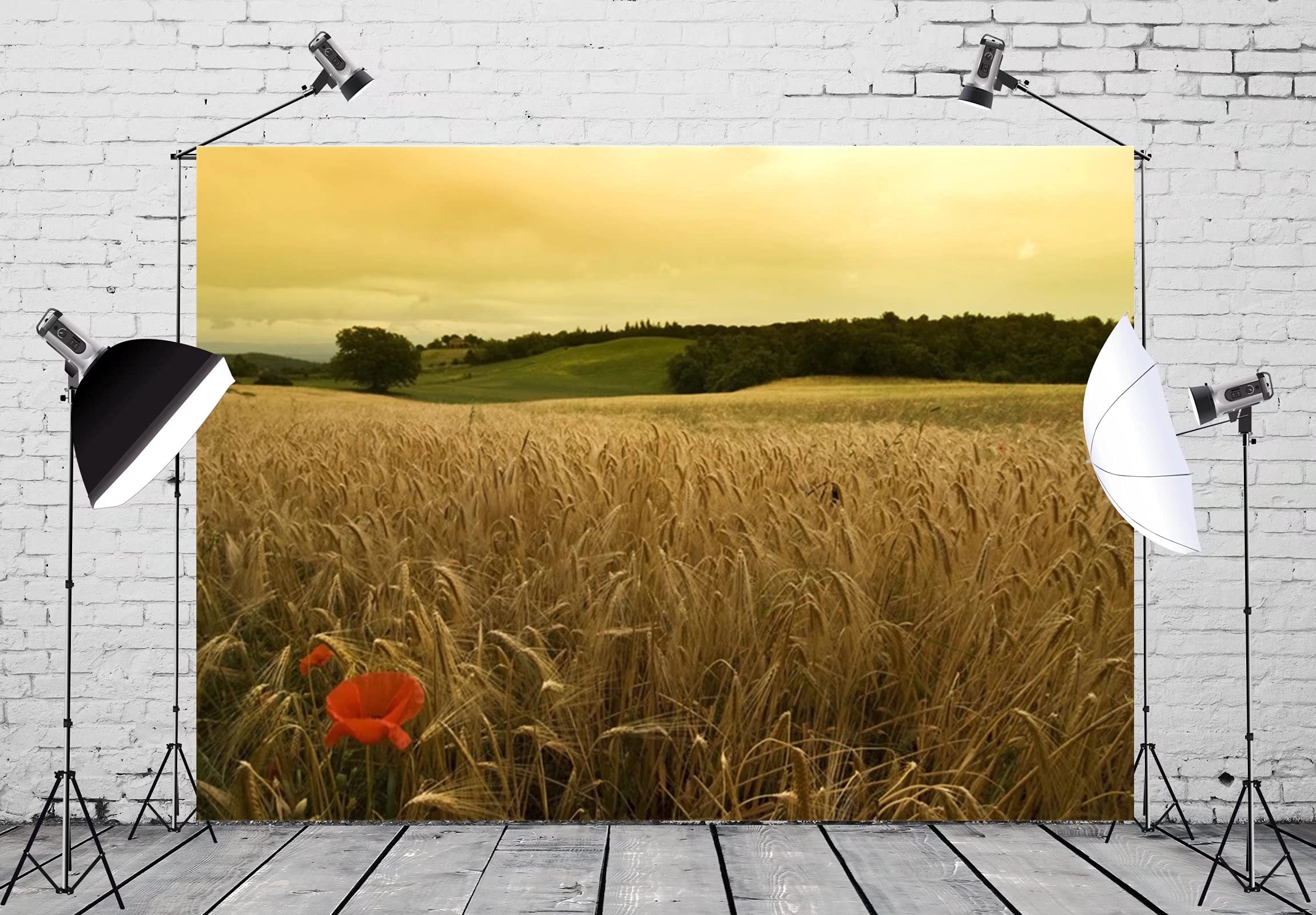 Fields And Farm Scenes