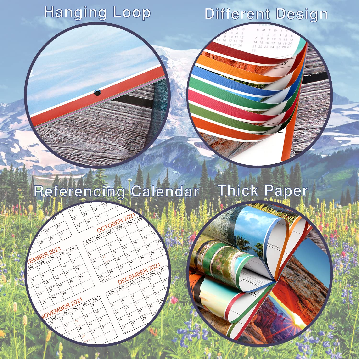 Buy 2022-2023 Wall Calendar - 2022-2023 Monthly Square Wall Calendar ...