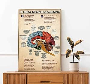 Amazon.com: Trauma Brain Processing, Mental Health Brain Anatomy Home ...
