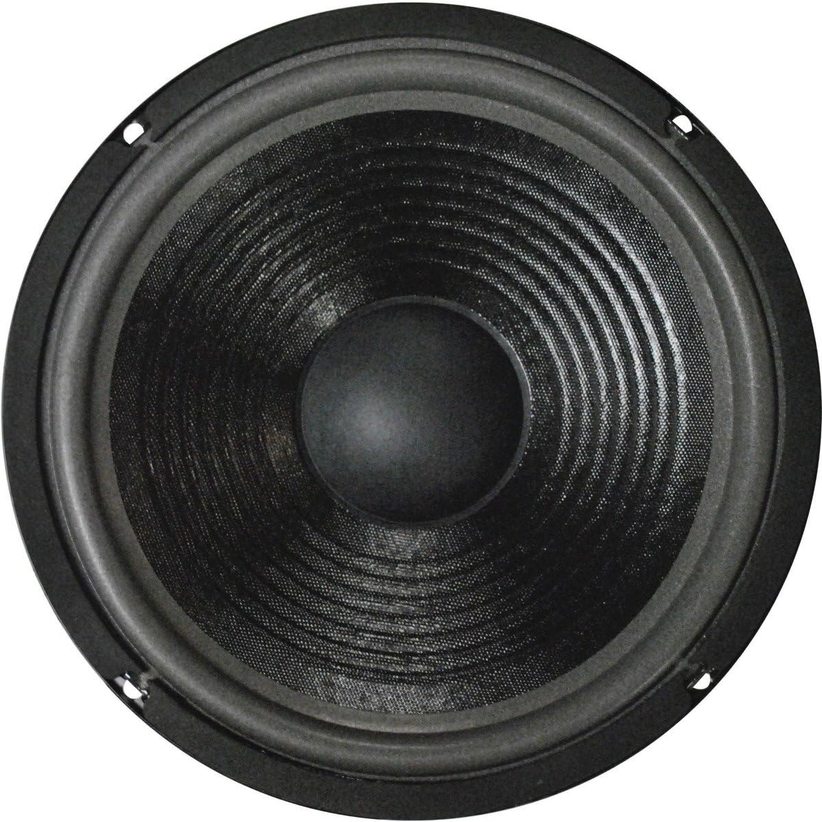 Amazon.com: New Zebra Nwx1250F 12" 500W Professional Dj Subwoofer Sub ...