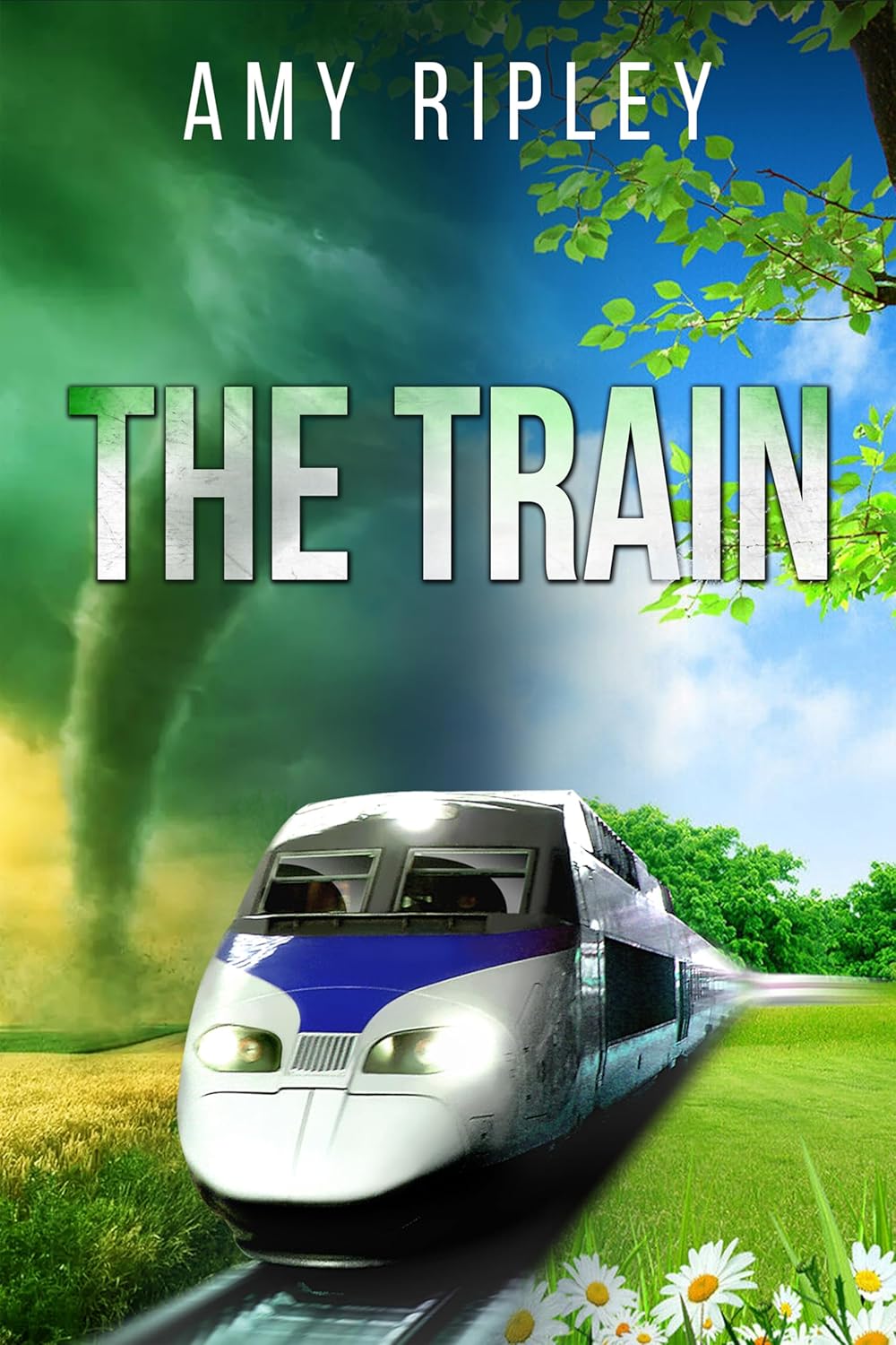 Amazon.com: The Train eBook : Ripley, Amy: Kindle Store
