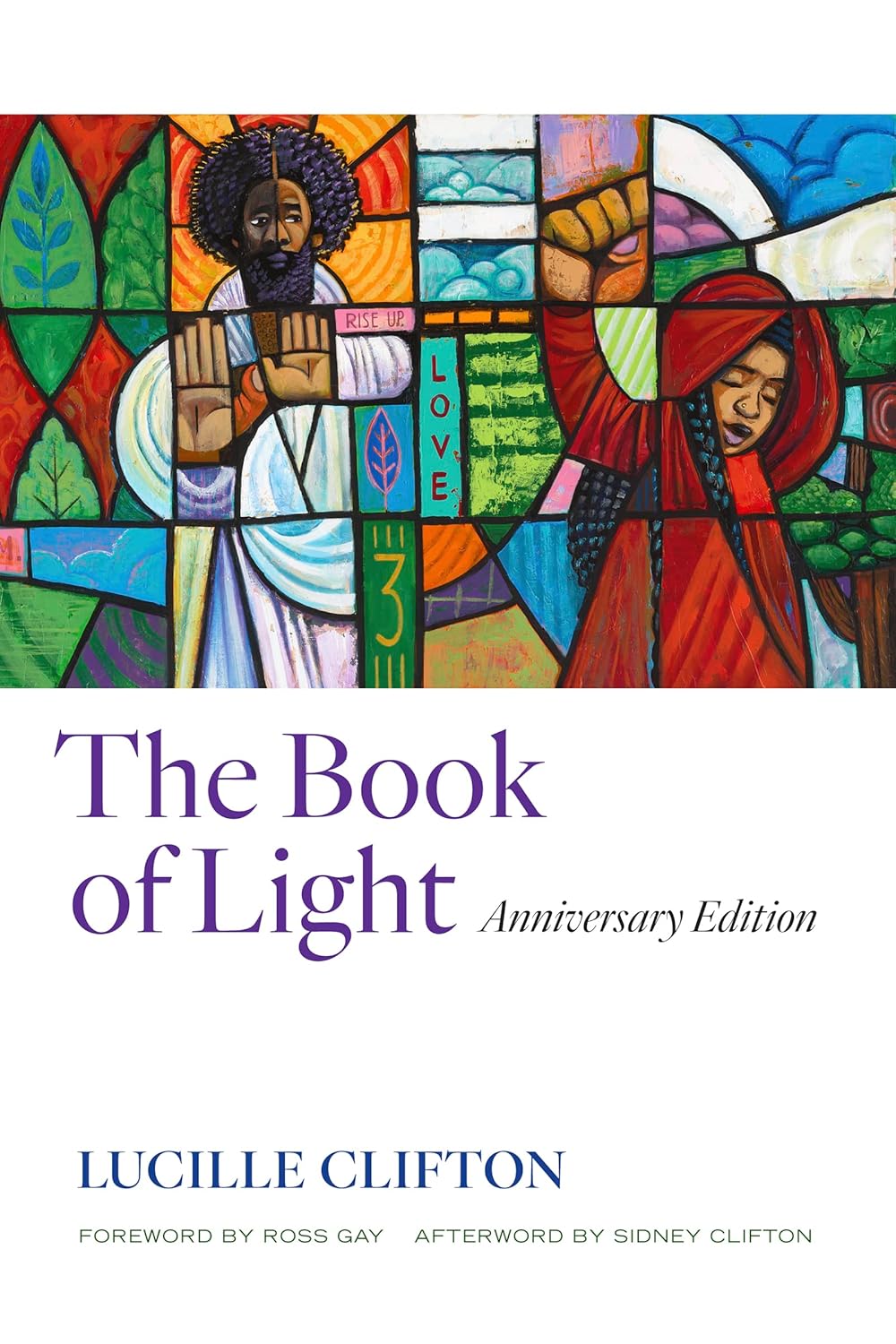 Amazon.com: The Book of Light: Anniversary Edition eBook : Clifton ...