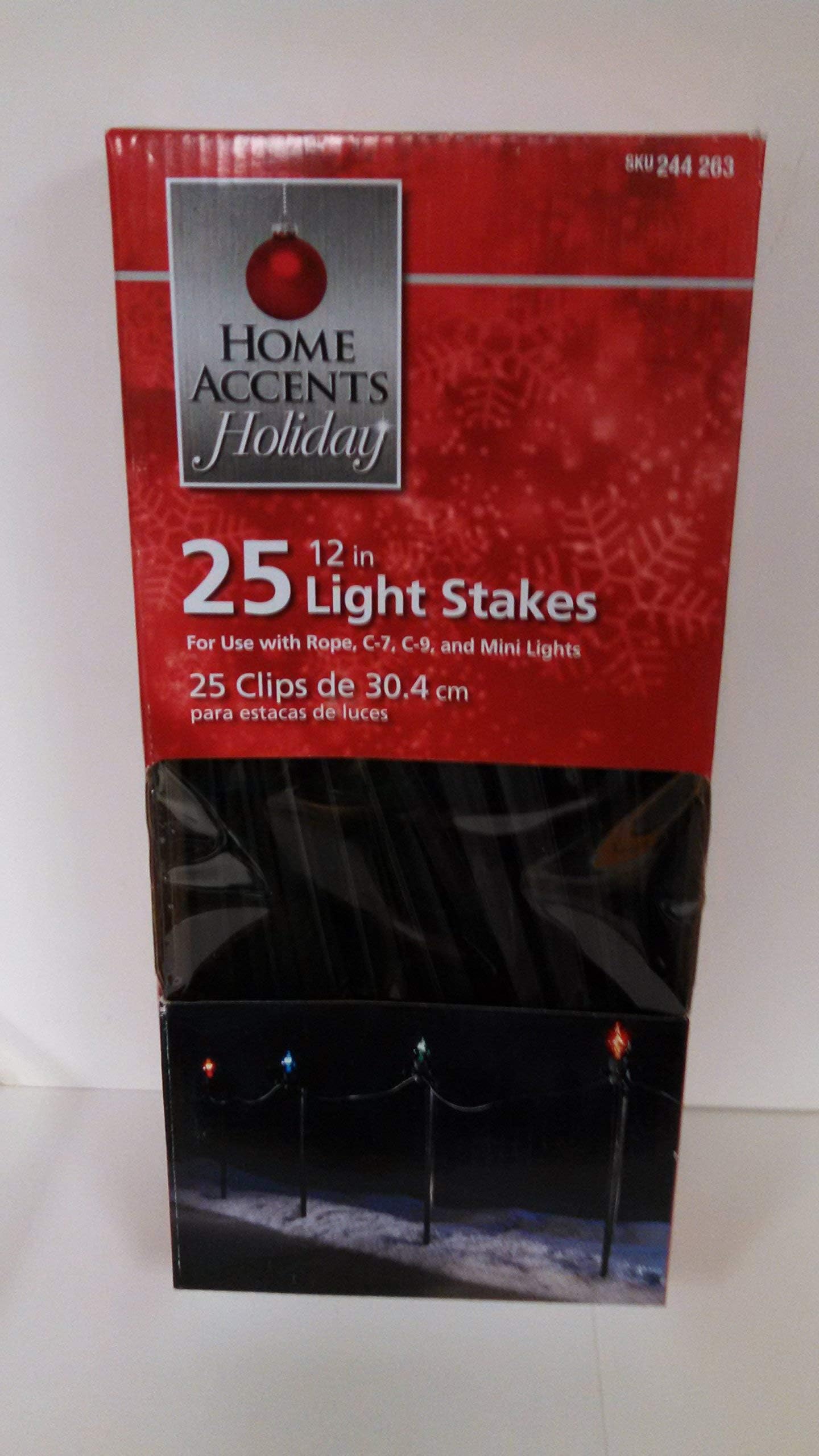 Amazon.com: Home Accents Holiday 10 in. Lighted Candy Cane Pathway ...