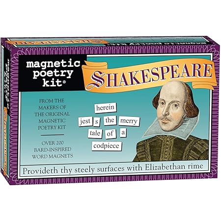 Amazon.com: Magnetic Poetry - The Poet Kit - More Essential Words For ...