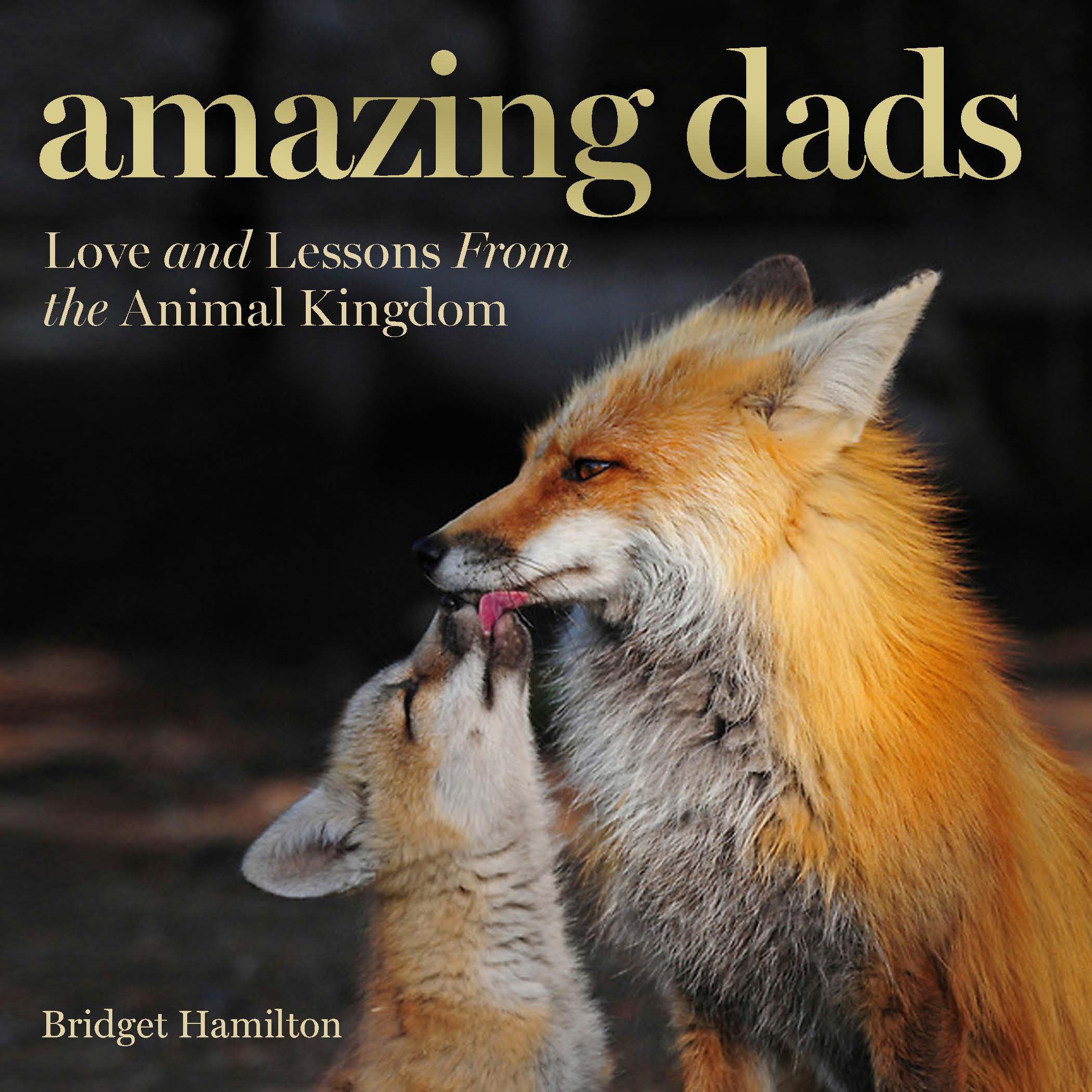Amazon.com: Amazing Dads: Love and Lessons From the Animal Kingdom ...