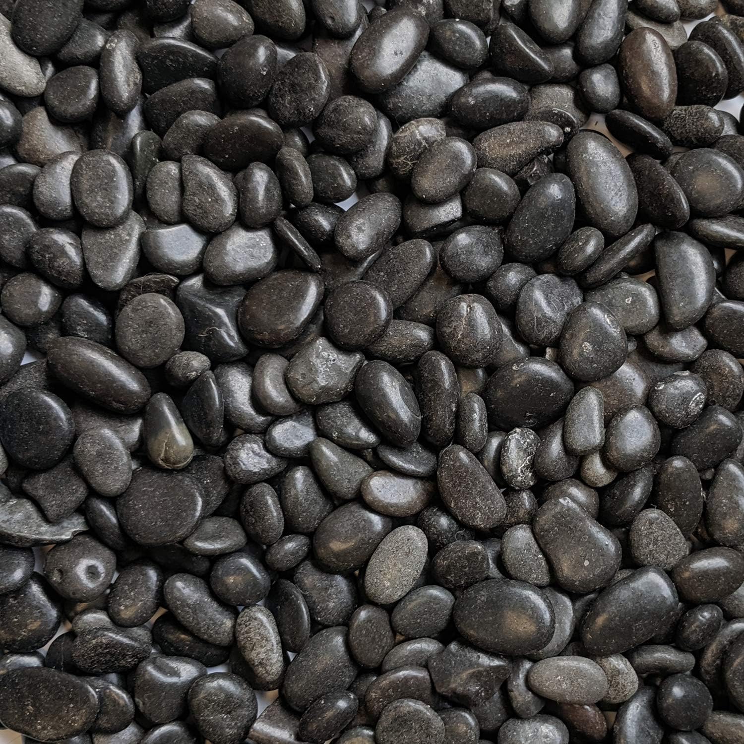 Amazon.com: SOUJOY 15LBS Natural Polished Black River Rocks, 1-2 Inch ...