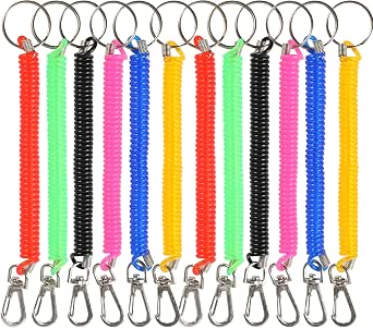 Amazon.com: H&W 12pcs Retractable Coil Spring Keychain, 6 colors Spiral ...