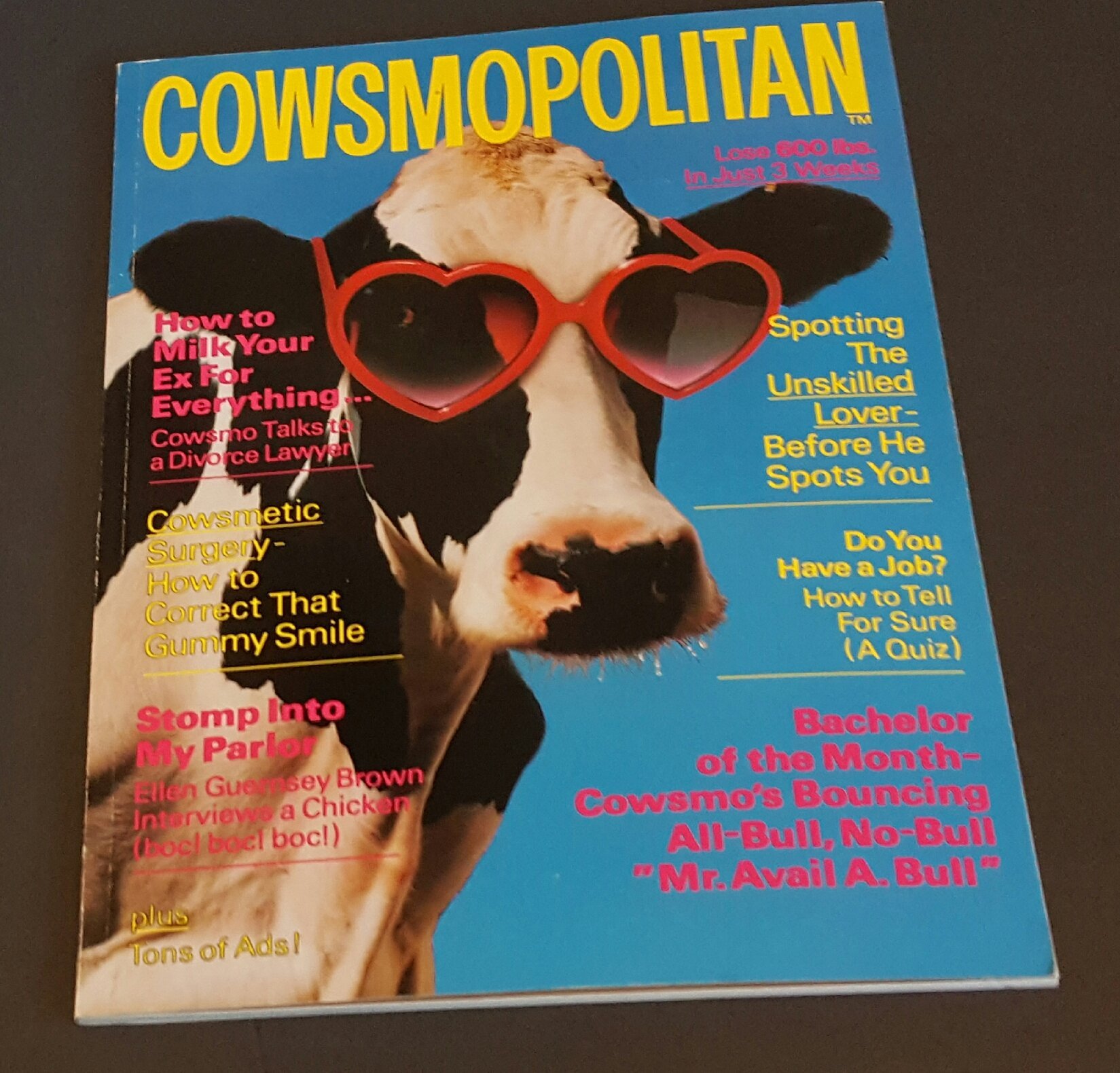 Amazon.com: Cowsmopolitan: 9781552090589: Hagey, Thomas: Books