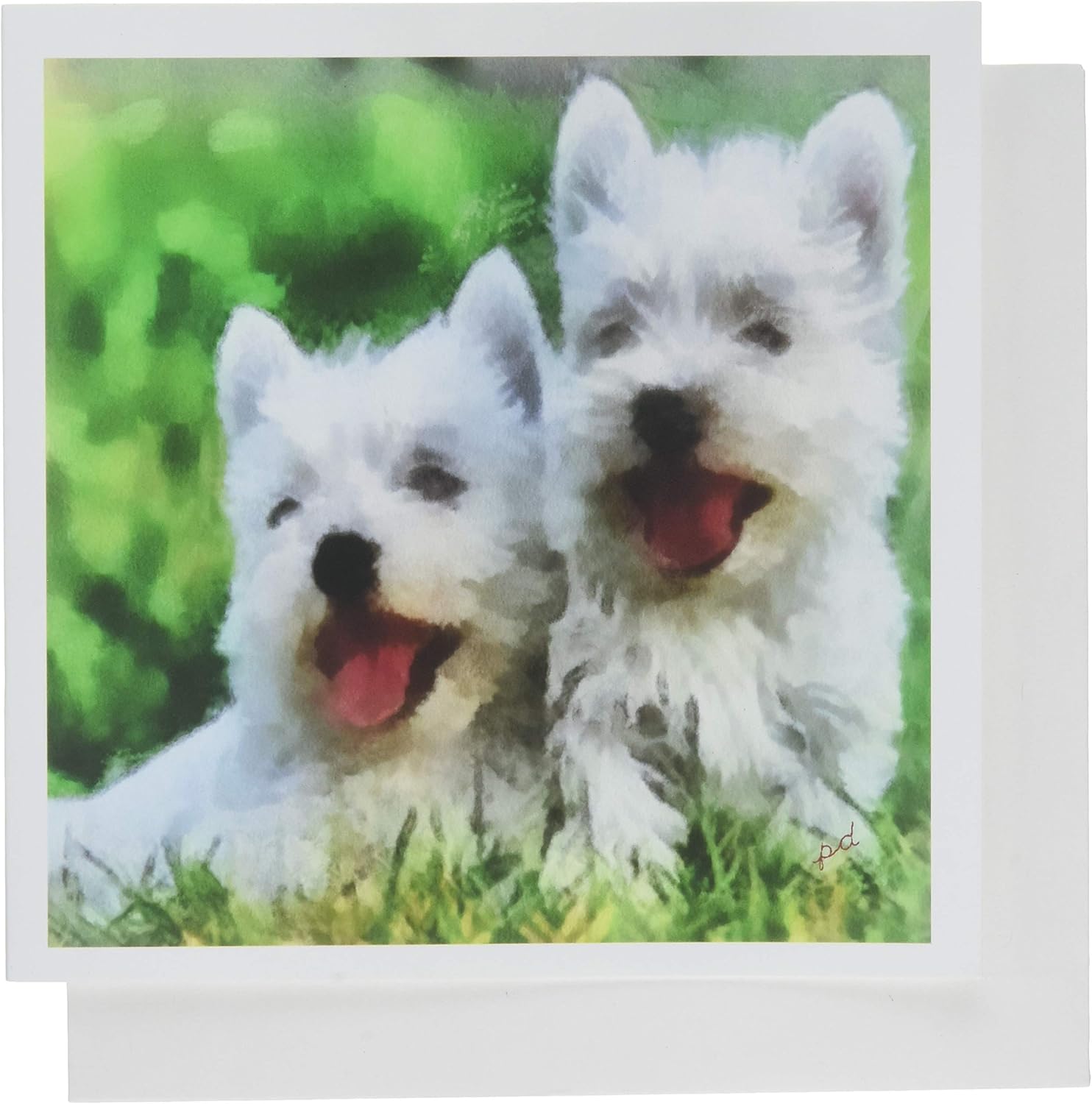 Amazon.com: West Highland Terrier - Westie Pair Blank Note Cards - Set ...