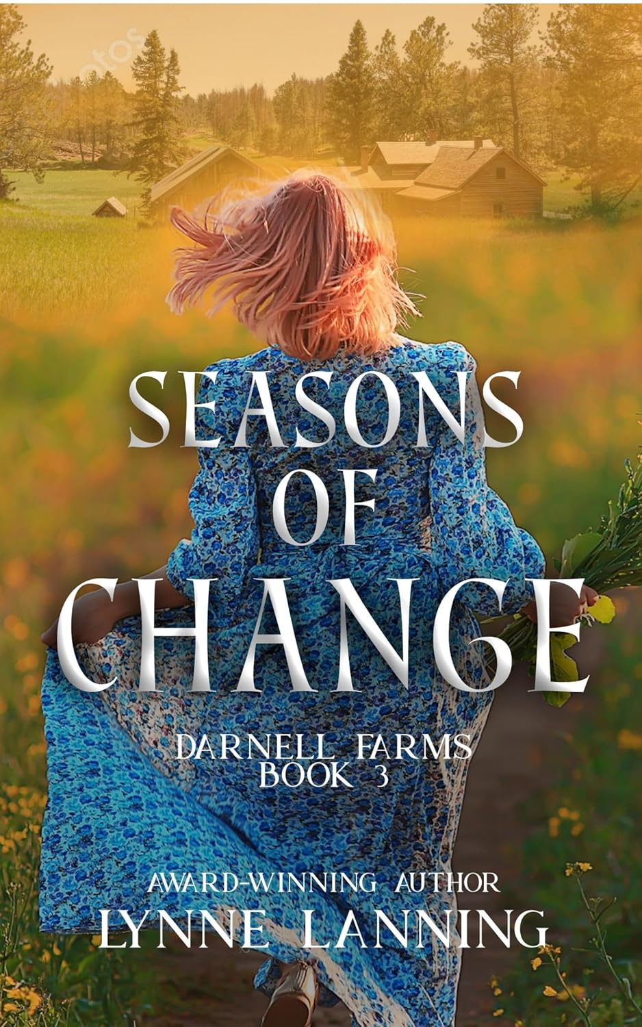 Seasons of Change - Darnell Farms Book 3: Christian Historical Romantic ...
