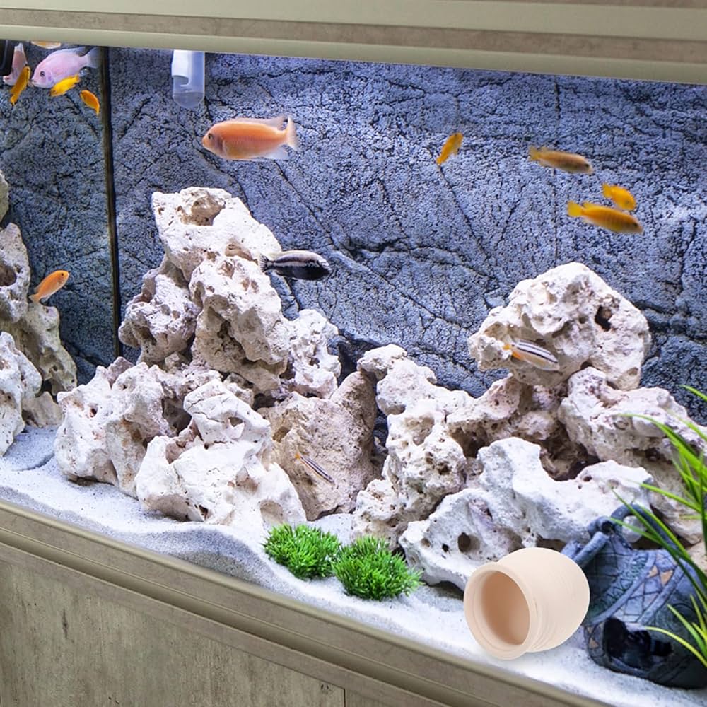 Small Fish Tank Landscape Fish Tank - Small Shallow Aquarium Betta Tank ...