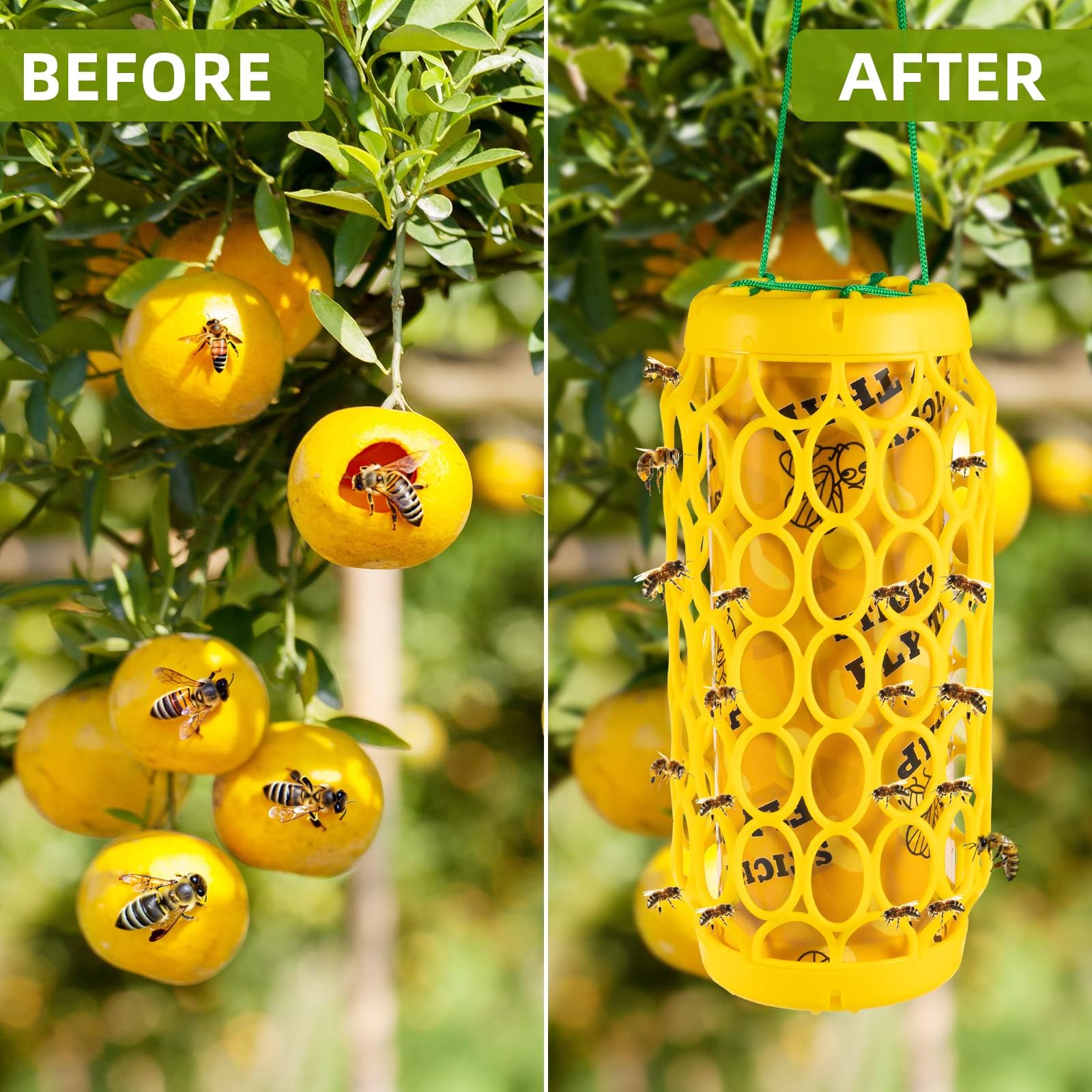 Sticky Fly Traps Outdoor Hanging,Fruit Fly Traps for Indoors,Wasp Trap ...