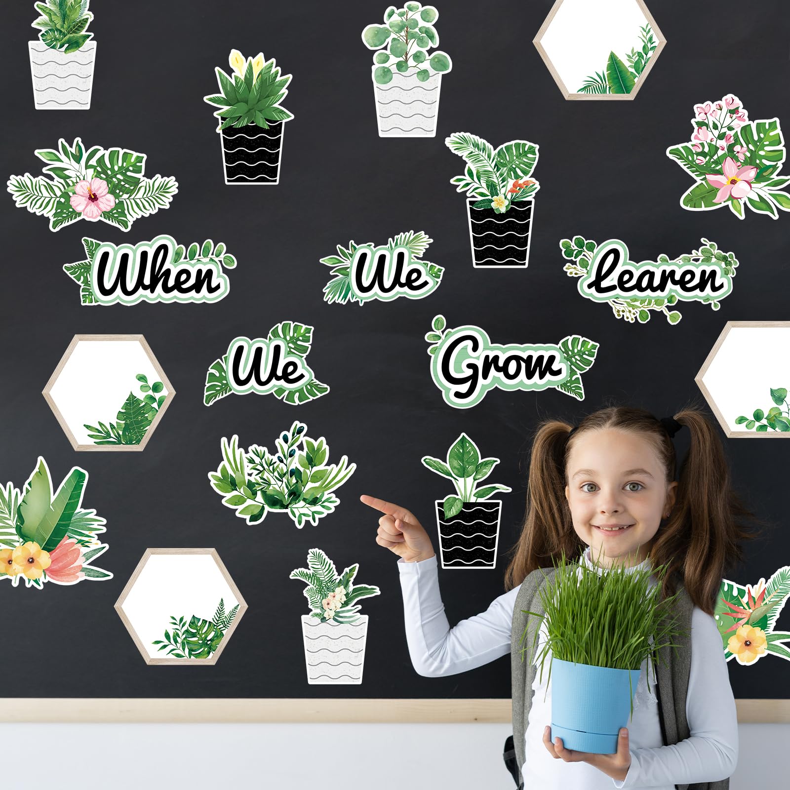 Classroom Decorating With Indoor Plants Plants For Classroom | Plant