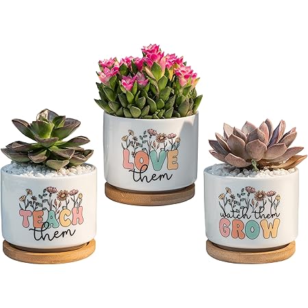 Amazon.com: Pencil Shape Planter/Vase for Teacher,Classroom, Student ...