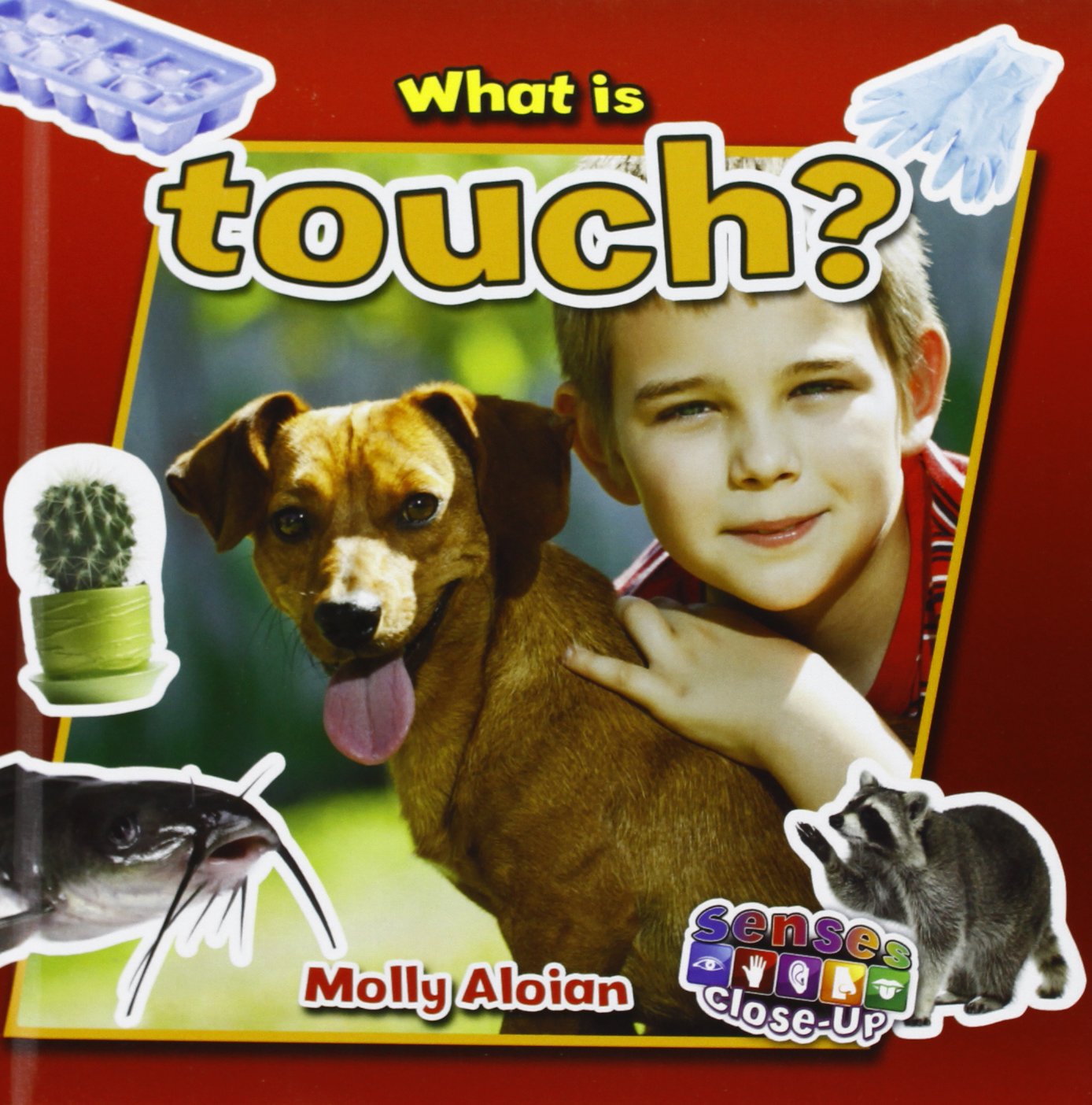 What Is Touch? (Senses Close-Up): Aloian, Molly: 9780778709688: Amazon ...