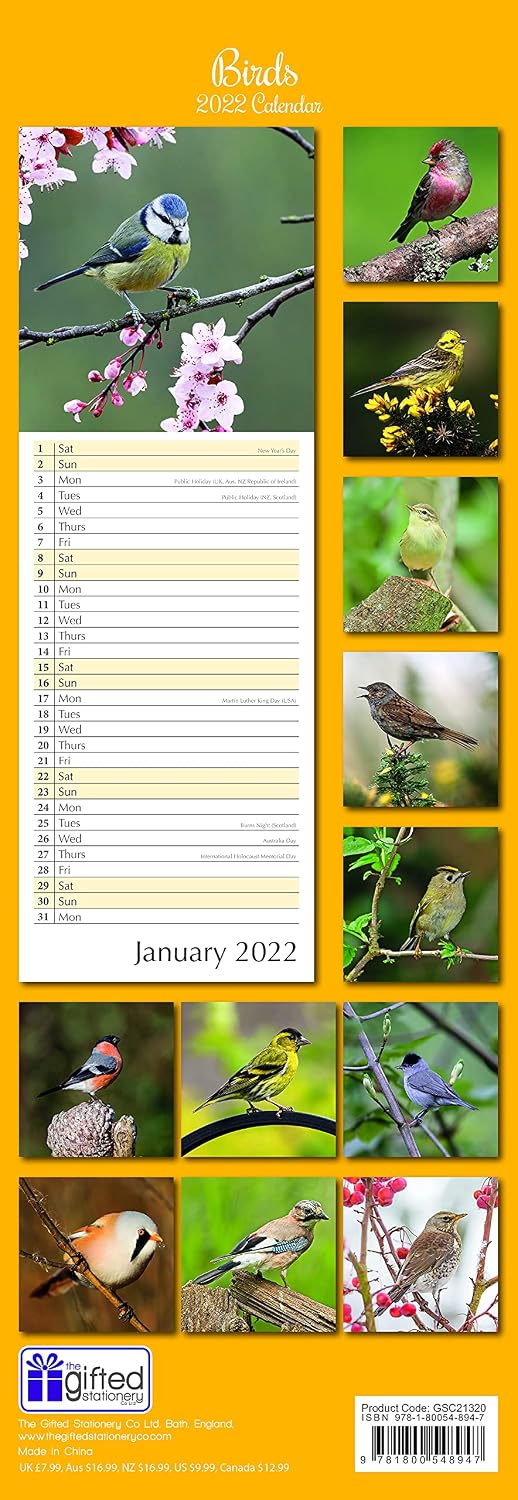 2022 Slimline Calendar – Birds, Monthly View, Animals Theme, Includes ...
