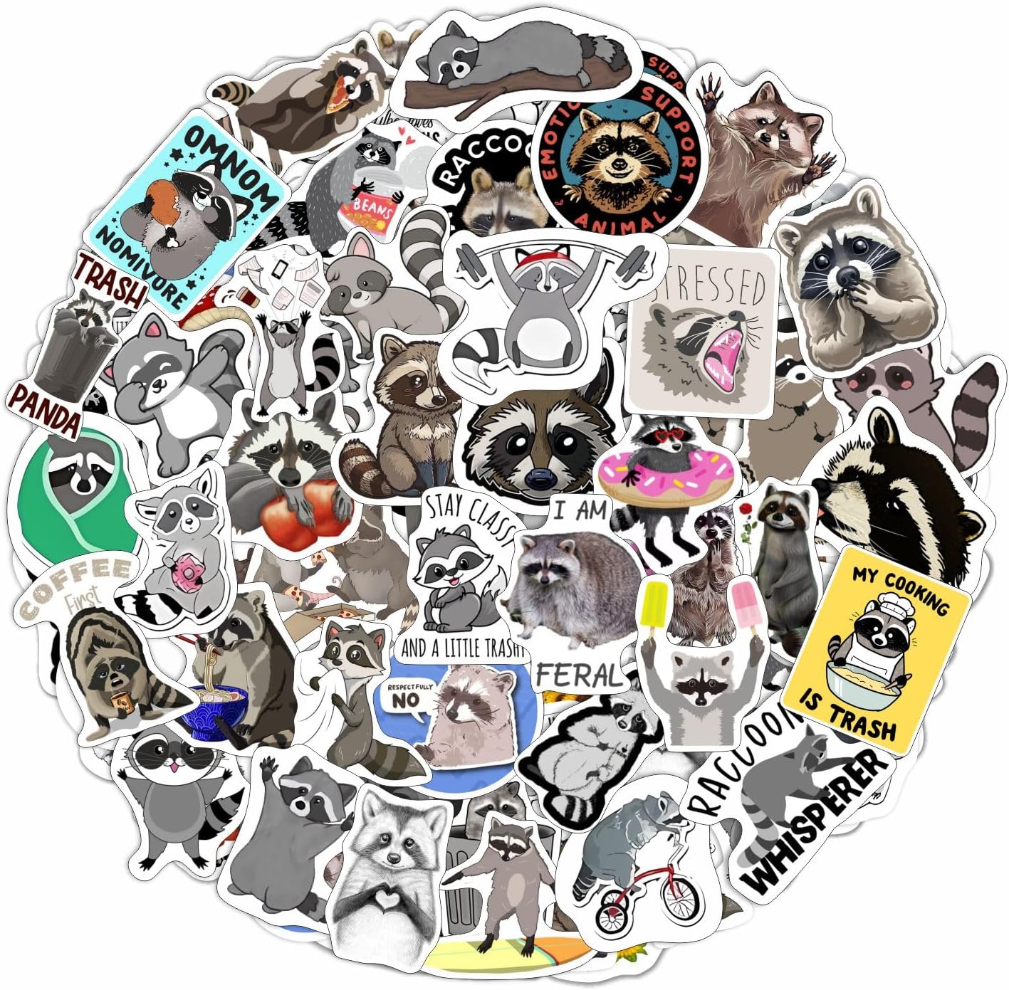 Amazon.com: Raccoon Stickers, Cute Racoon Stickers for Water Bottles ...