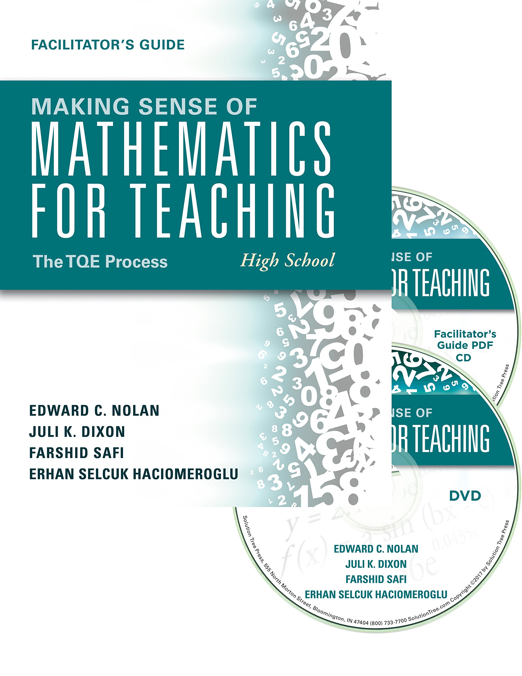 Buy Making Sense of Mathematics for Teaching High School: The TQE ...