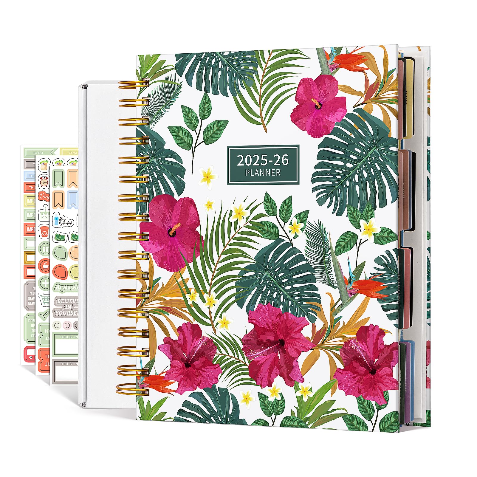 Amazon.com : Planner 2025-2026, 18-Month Daily, Weekly & Monthly Large ...