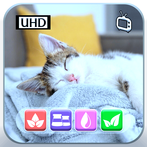 Calming Sleep Music for Cats - Relaxing Ambience Screensaver - App on ...