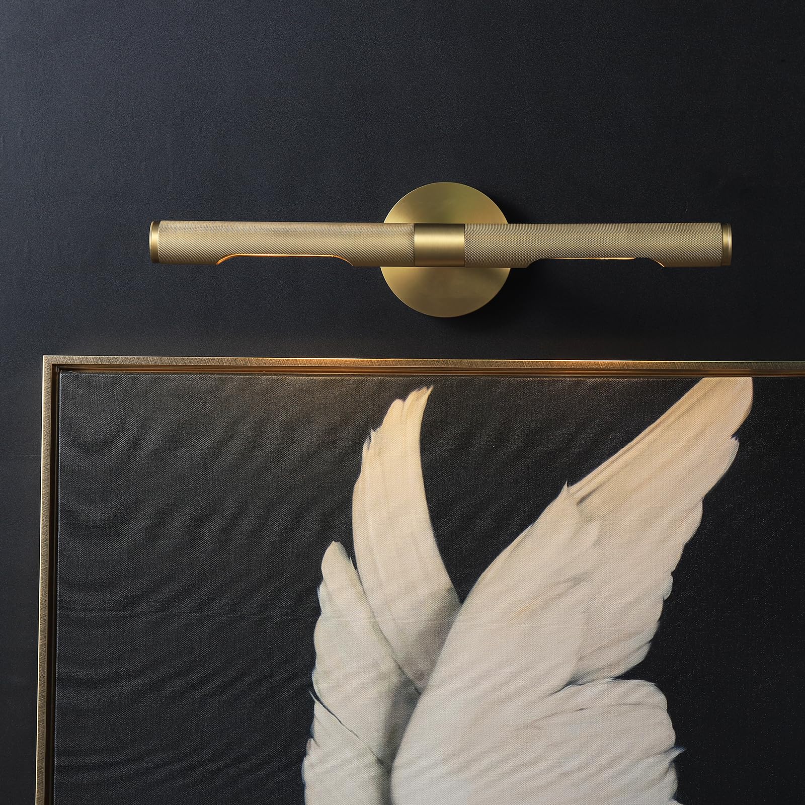 Caupel Brass Picture Light, 3000K Gold Wall Sconces, 360° Brushed Brass ...