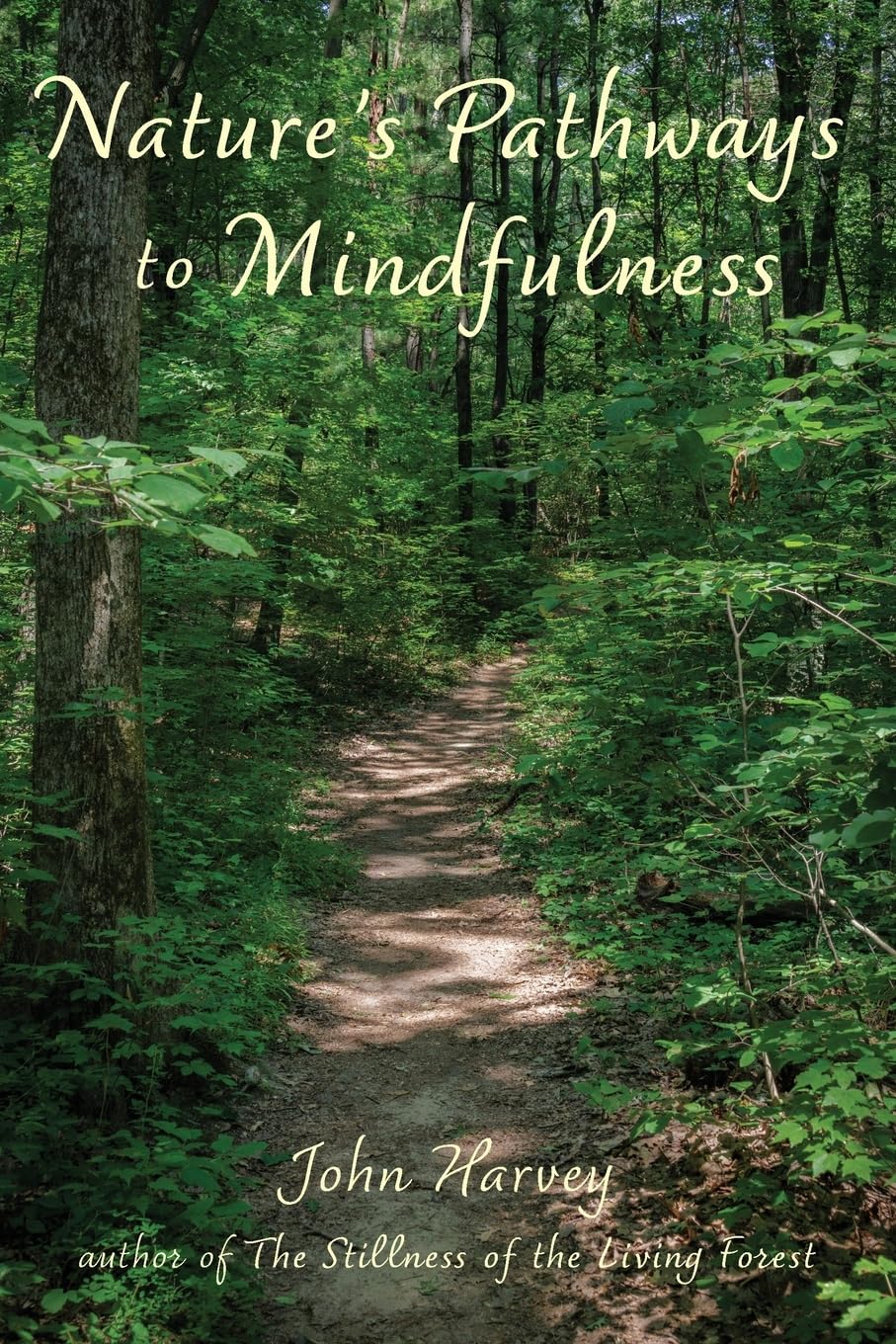 Nature's Pathways to Mindfulness: Harvey, John: 9781962082266: Amazon ...