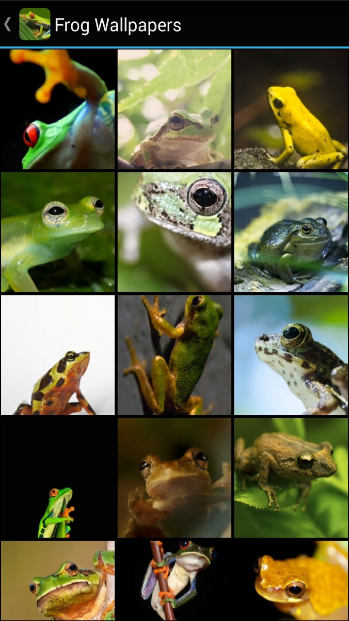 Frog Wallpapers - App on Amazon Appstore
