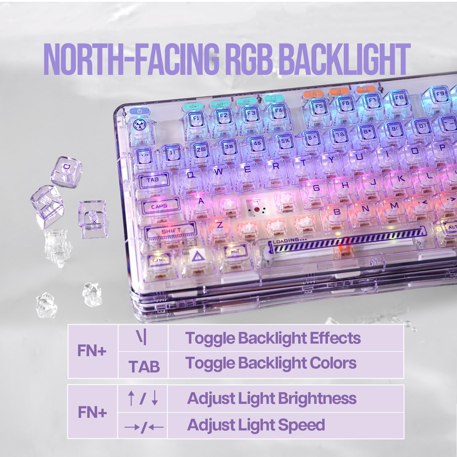 Snapklik.com : MechLands Aula F81 75% Transparent Gaming Keyboard, BT5 ...