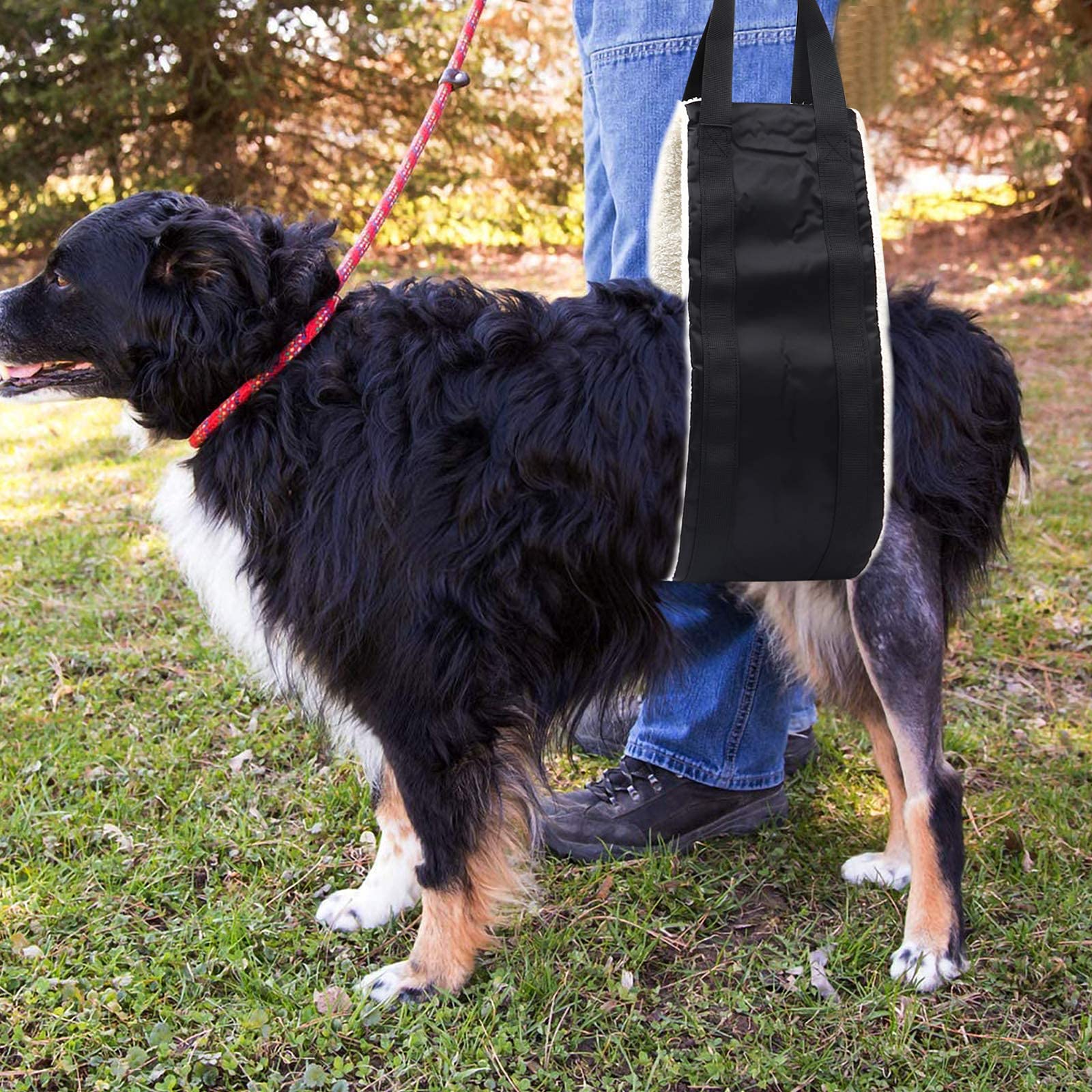 20-150lb Dog Sling for Large Dogs Hind Leg Support,Hevy Duty Dog Lift ...