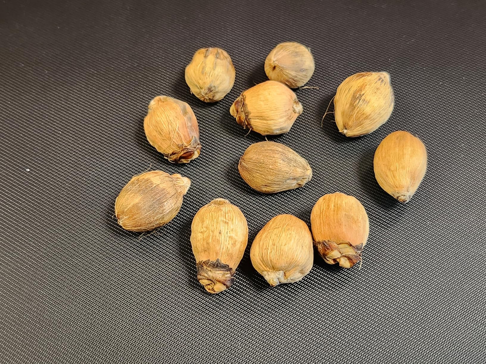 pmw - Laghu Nariyal - Energised - Mahalakshmi Coconut - Small Coconut ...