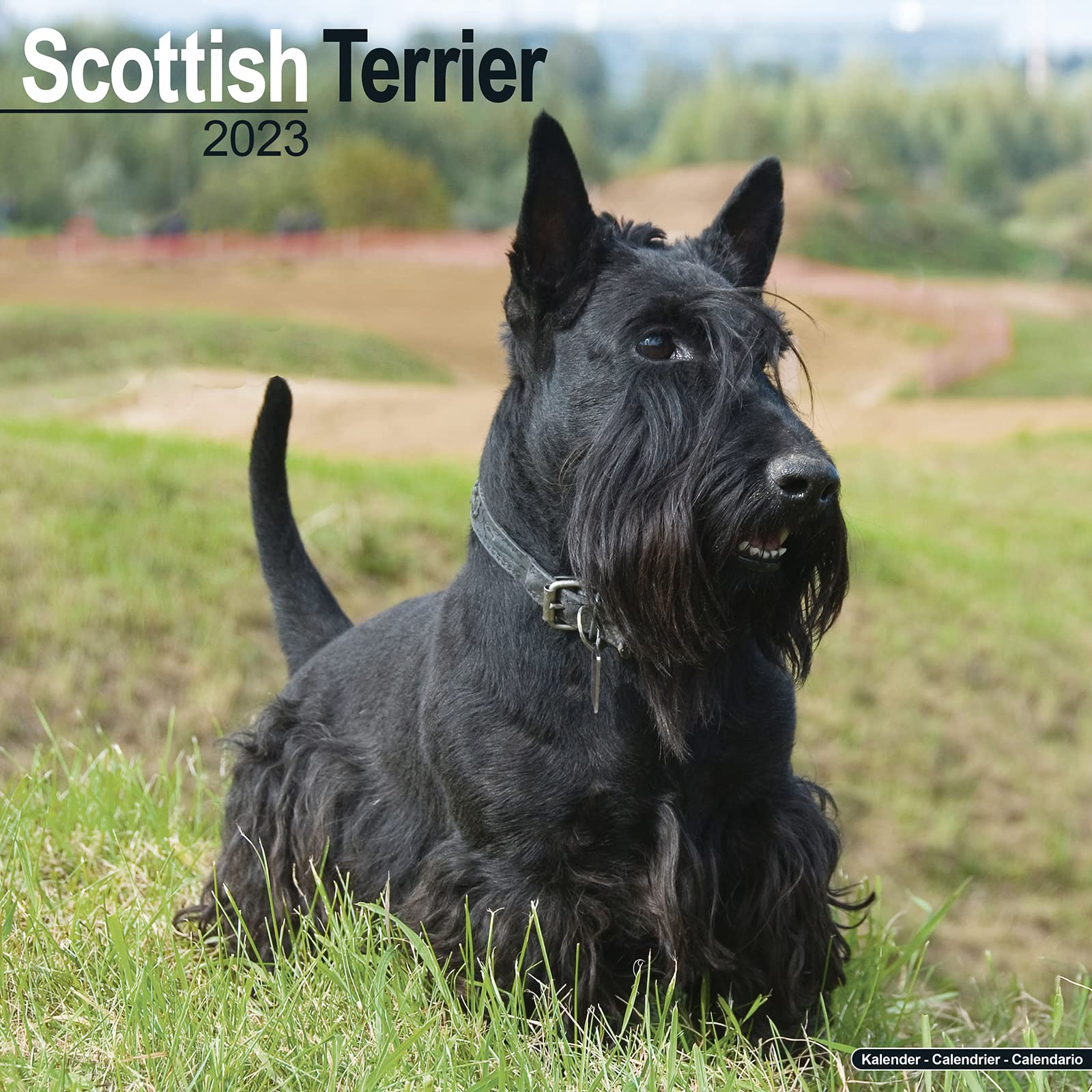 Scottish Terrier Calendar - Dog Breed Calendars - 2022 - 2023 wall ...