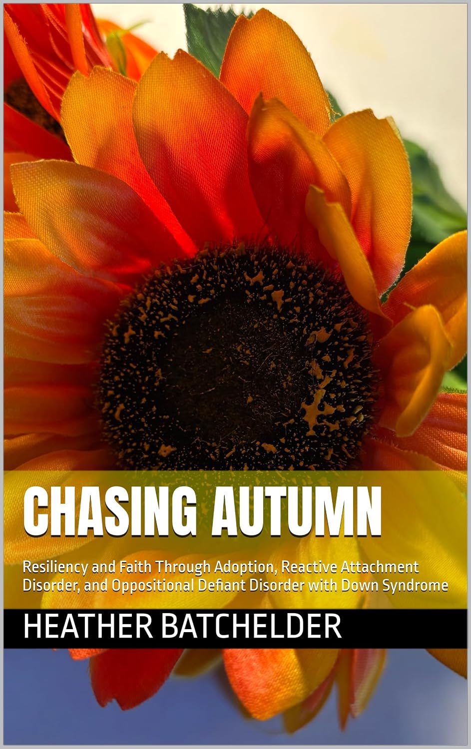 Chasing Autumn: Resiliency and Faith Through Adoption, Reactive ...
