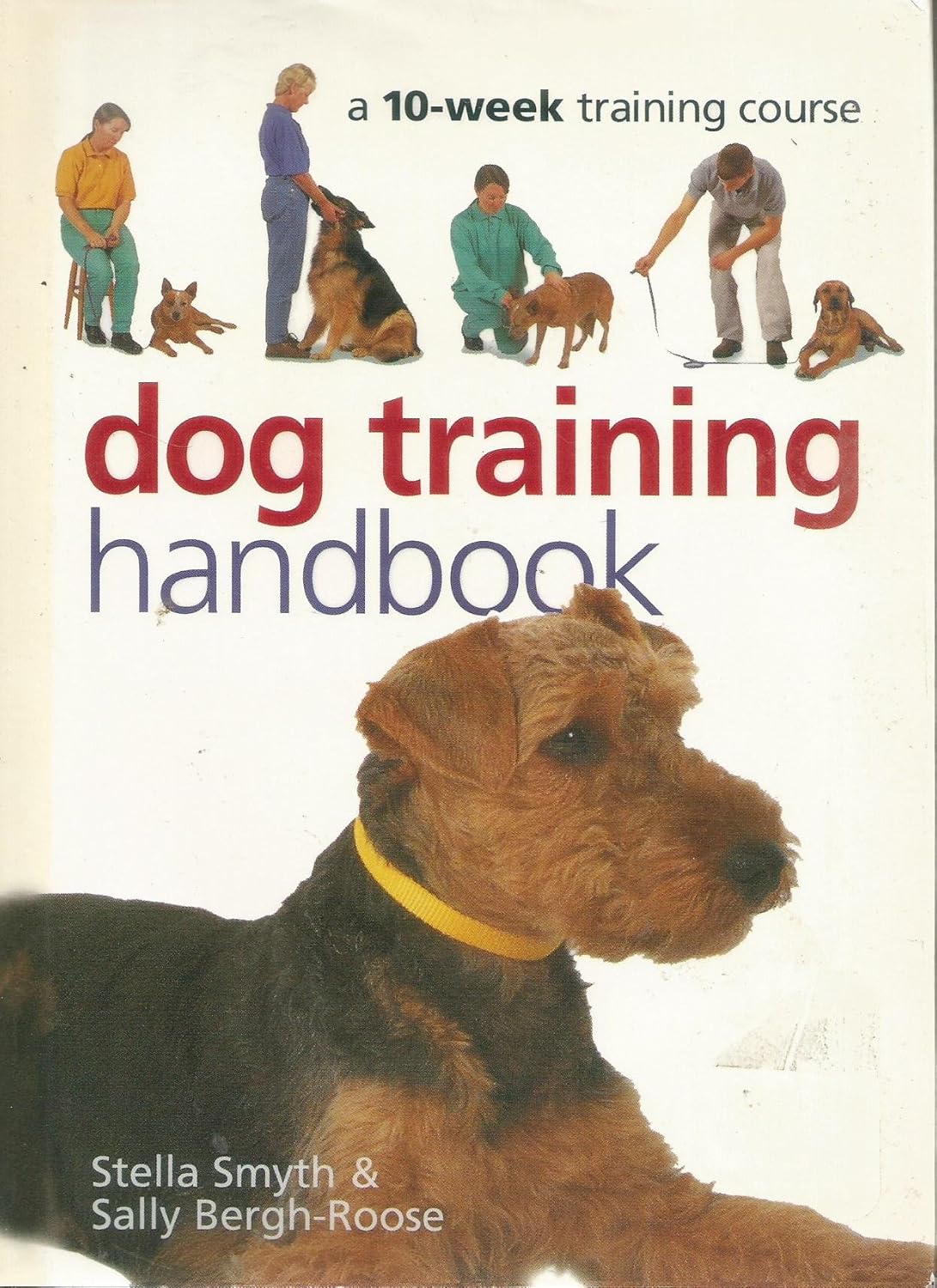 Dog Training Handbook: a 10-week Training Handbook: Stella Smyth, Sally ...