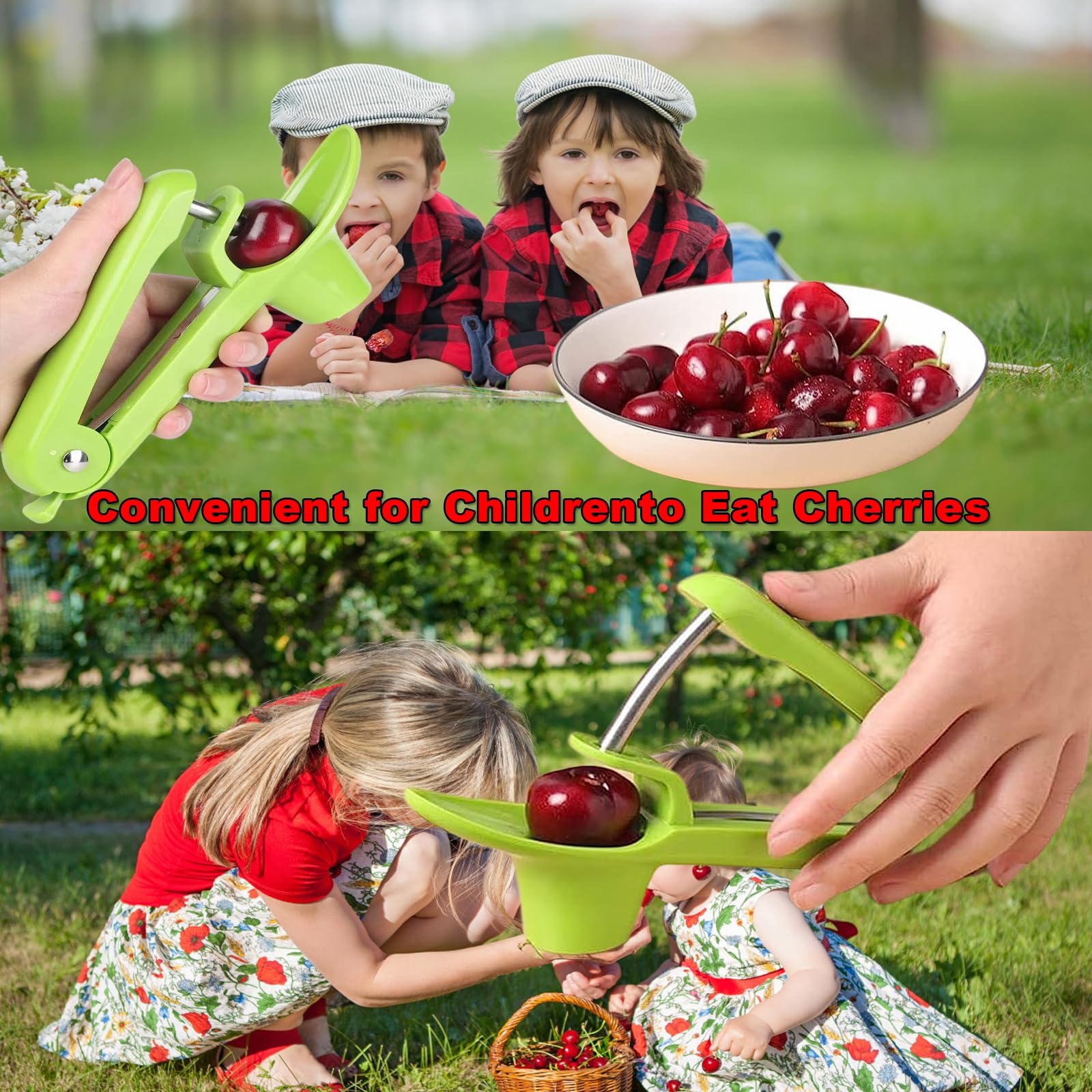 Snapklik.com : Cherry Pitter Tool, Heavy-Duty Stainless Steel Pitting ...