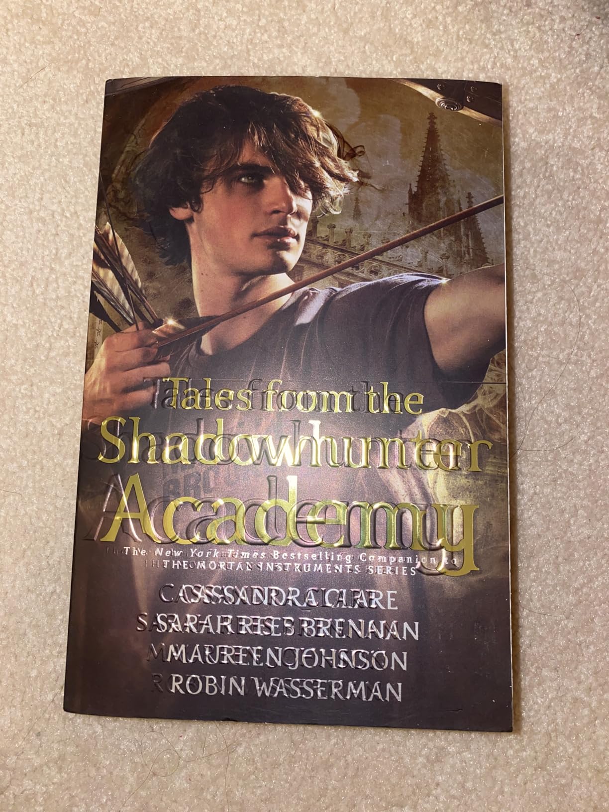 Amazon.com: Tales from the Shadowhunter Academy: 9781481443265: Clare ...