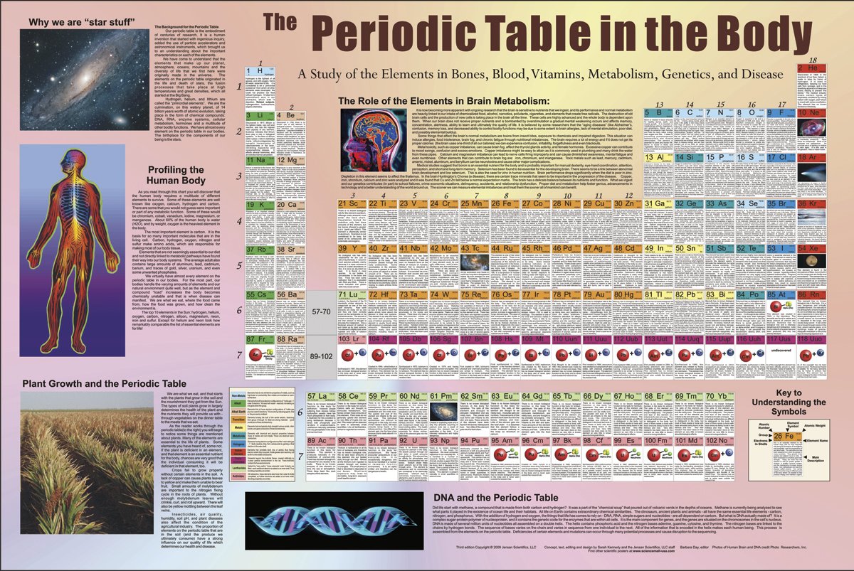 American Educational Periodic Table of The Elements In The Body Poster ...