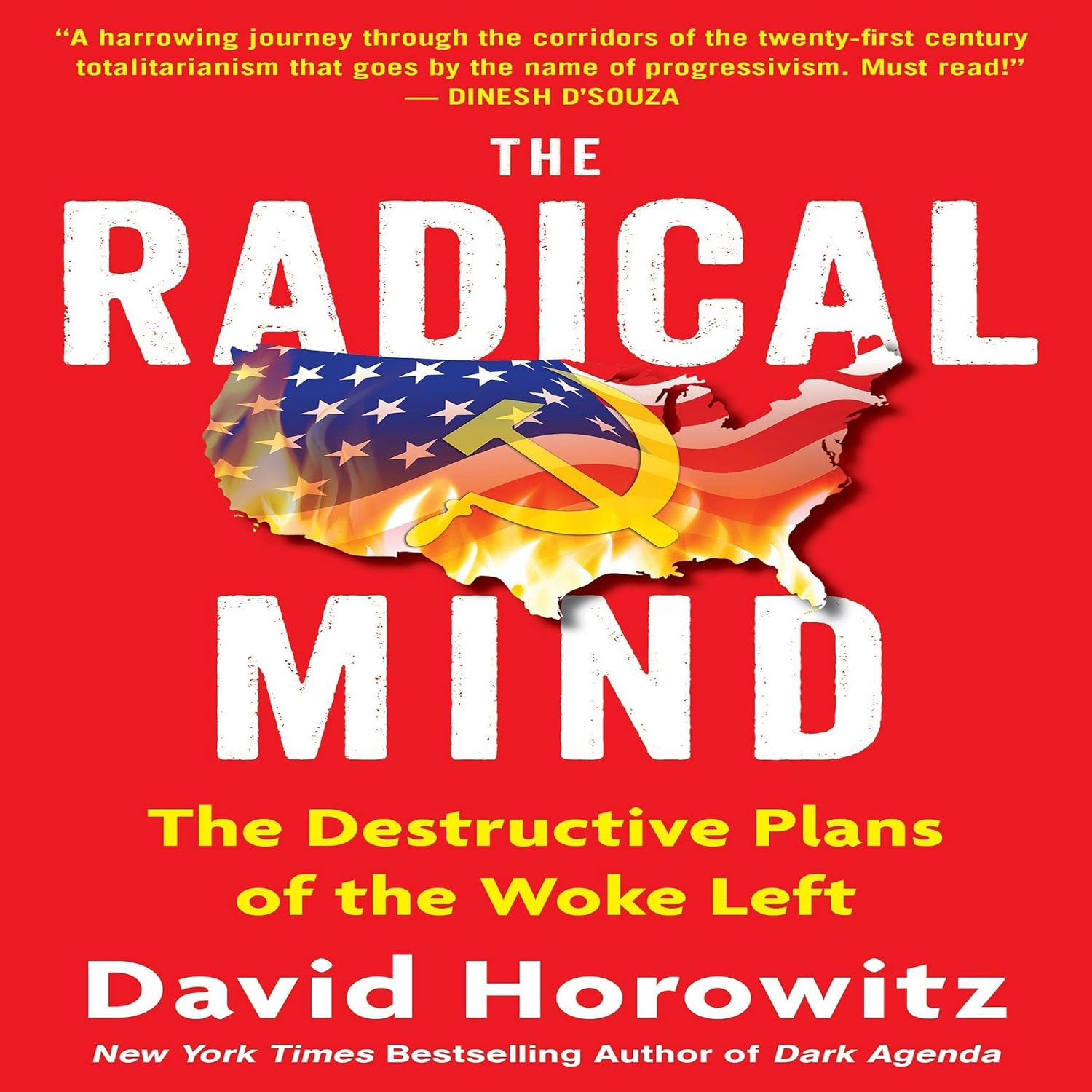 Amazon.com: The Radical Mind: The Destructive Plans of the Woke Left ...